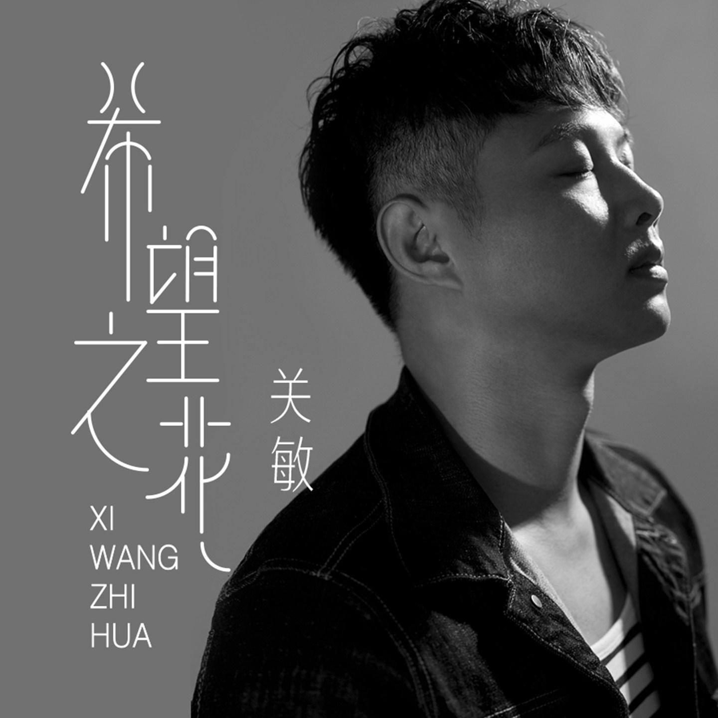 希望之花 关敏 单曲 网易云音乐