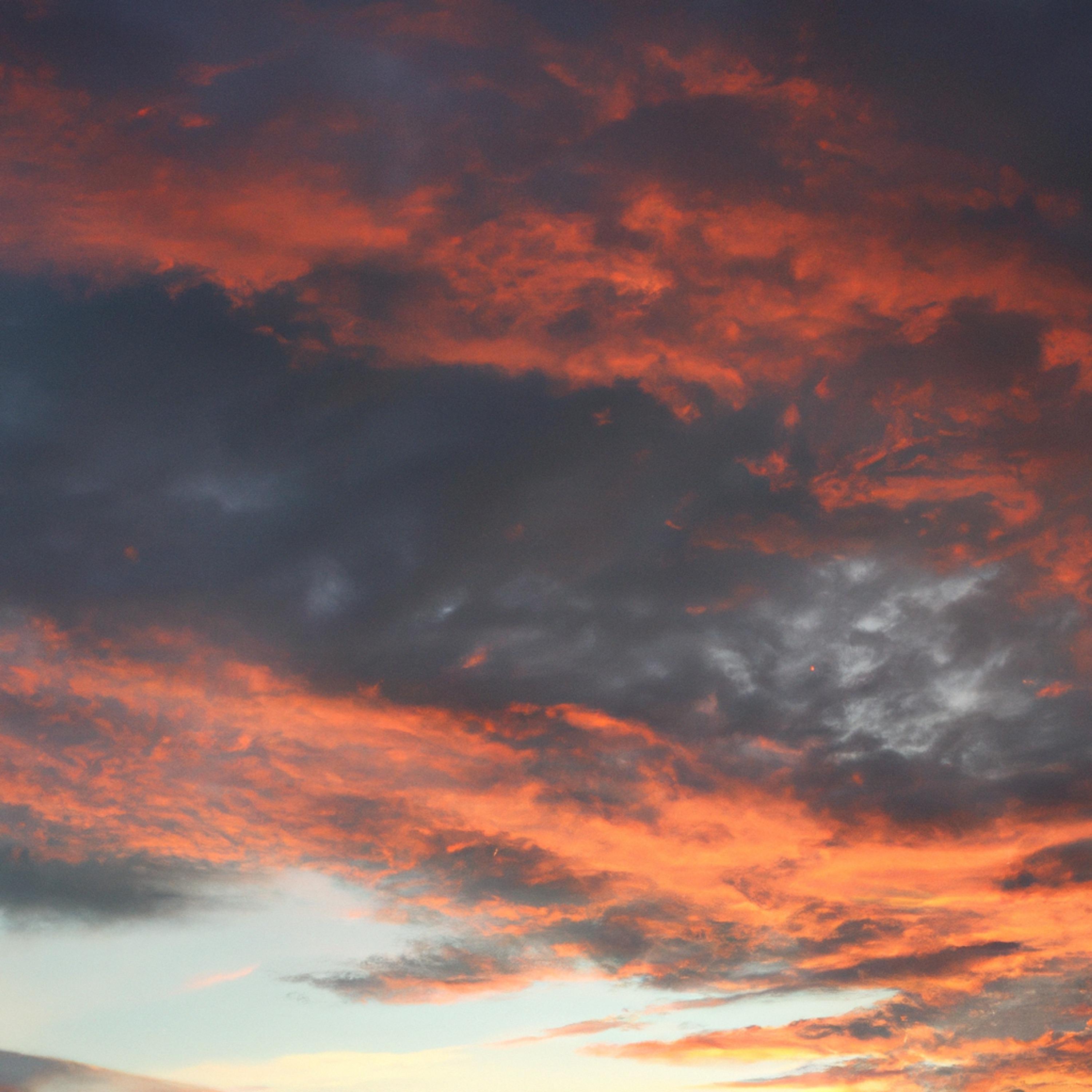 Amber Room ((sped-up)) - echo - 单曲 - 网易云音乐