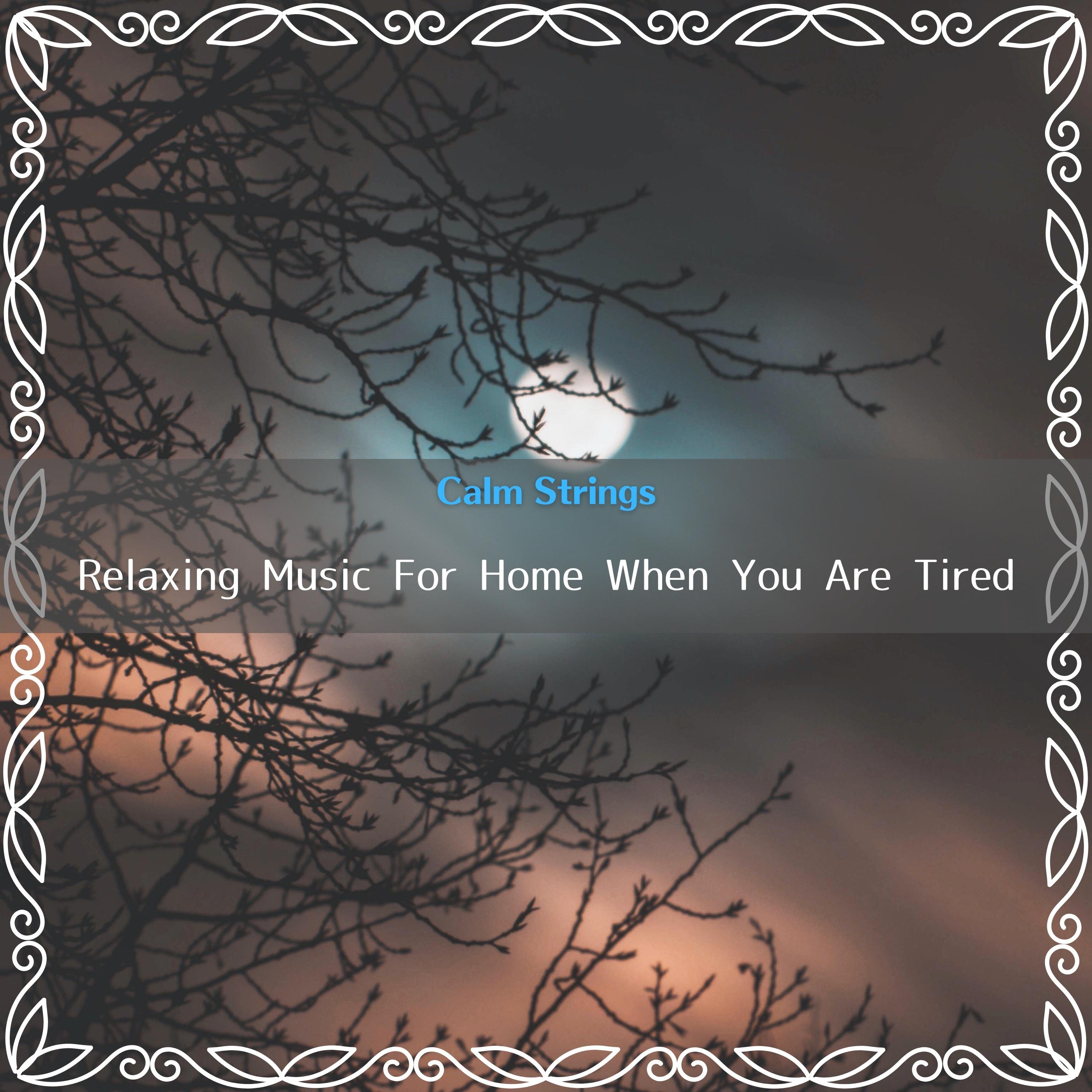 The Gentle Breeze - Calm Strings - 单曲 - 网易云音乐