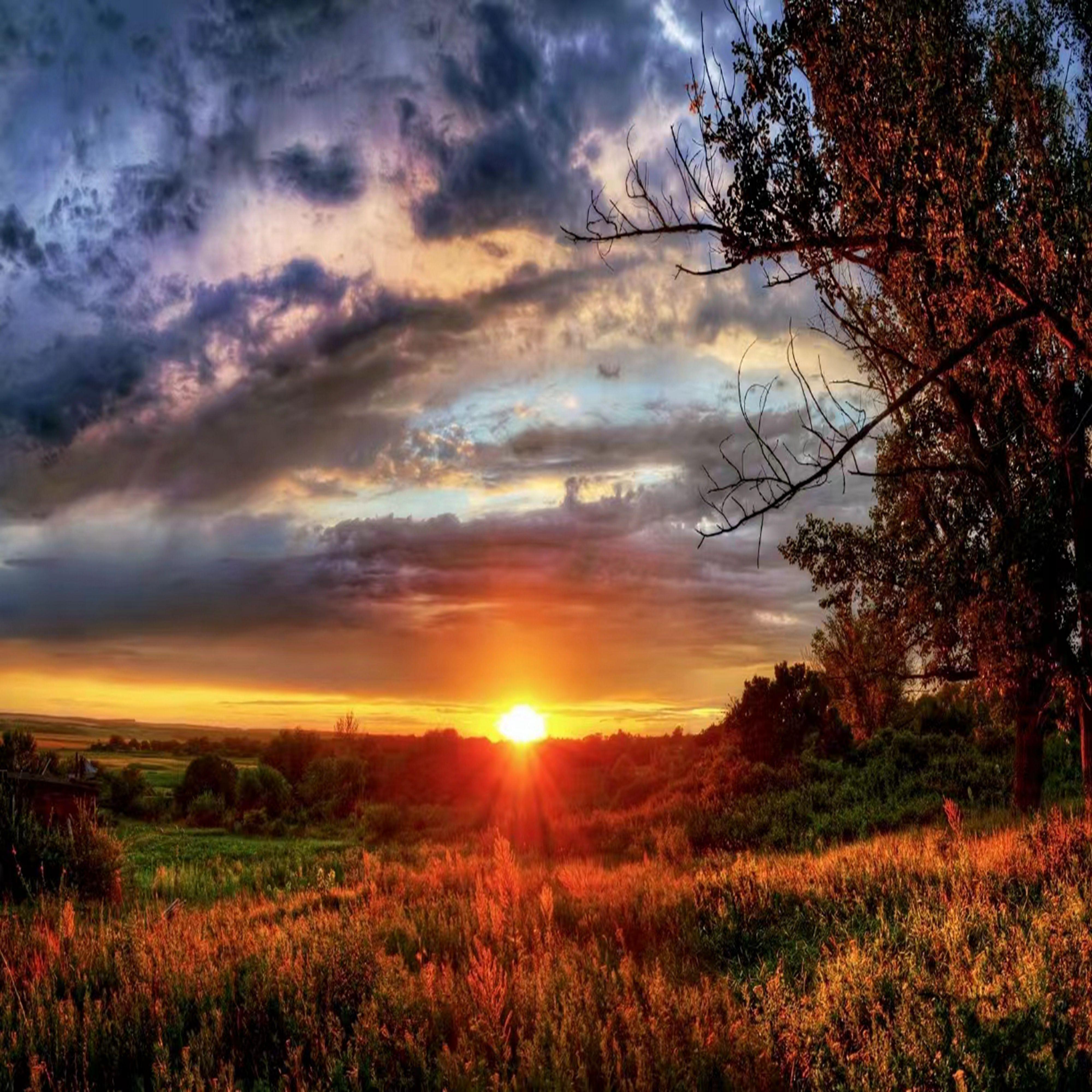 枫（伴奏） - Jay Zhou - 单曲 - 网易云音乐