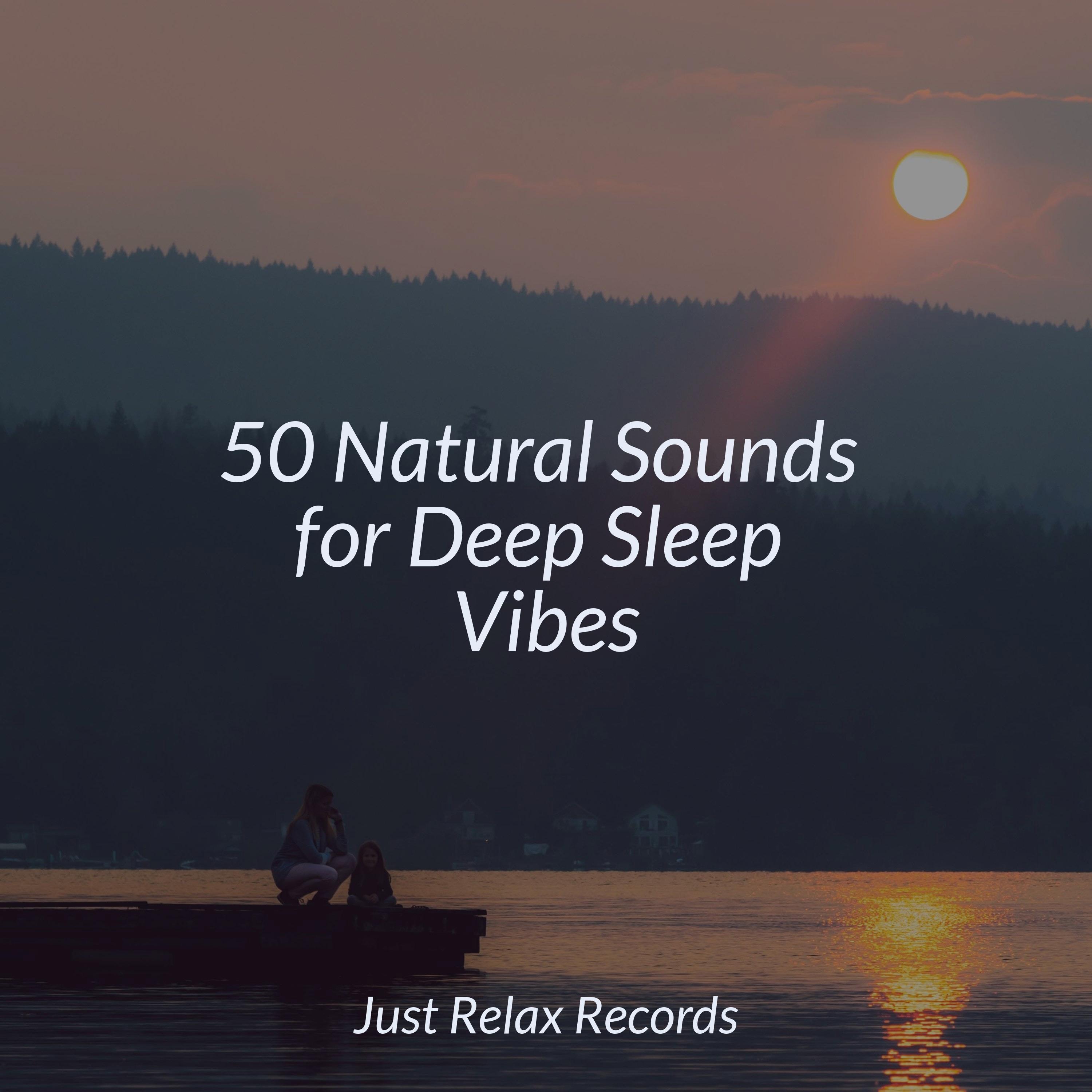50 Natural Sounds for Deep Sleep Vibes - Sleep Music Lullabies - 专辑 - 网易云音乐