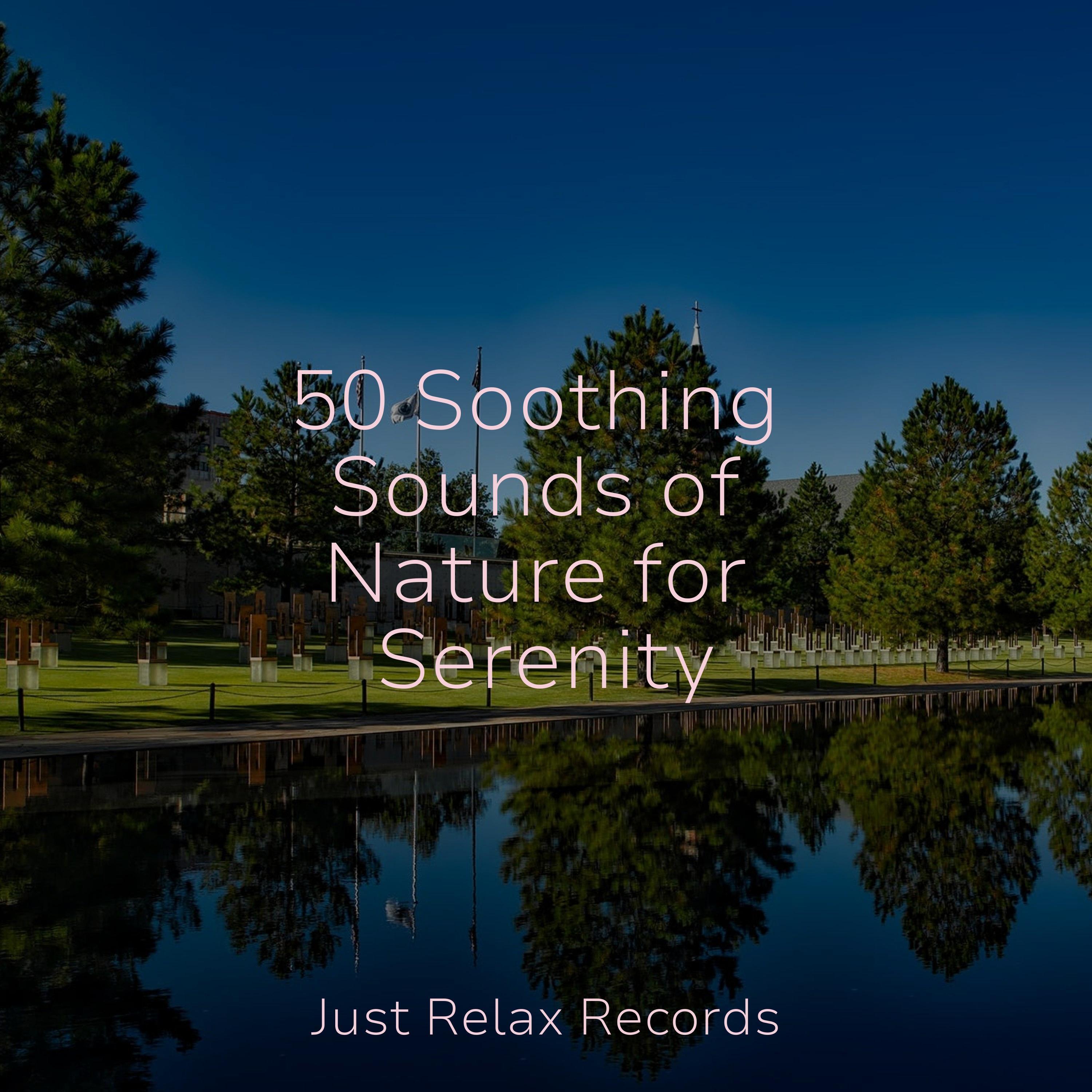 Lullaby of the Aurora - Lullabies for Deep Meditation/Relaxing ...
