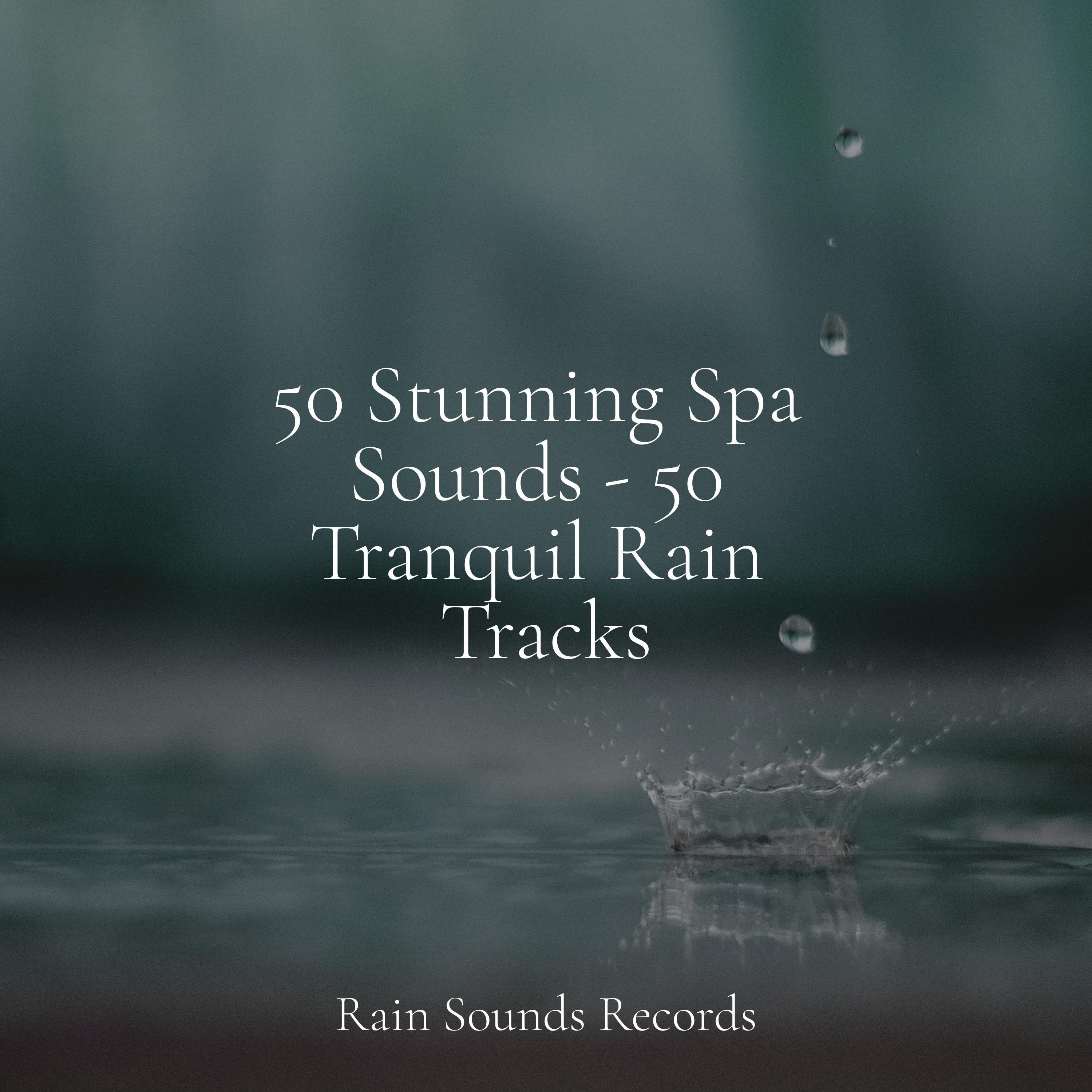 50 Stunning Spa Sounds 50 Tranquil Rain Tracks Nature Sound Series