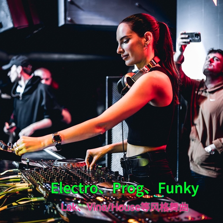 忘不掉的伤(Electro Mix 2025) - 中文REMIX舞曲 - 电台节目 - 网易云音乐