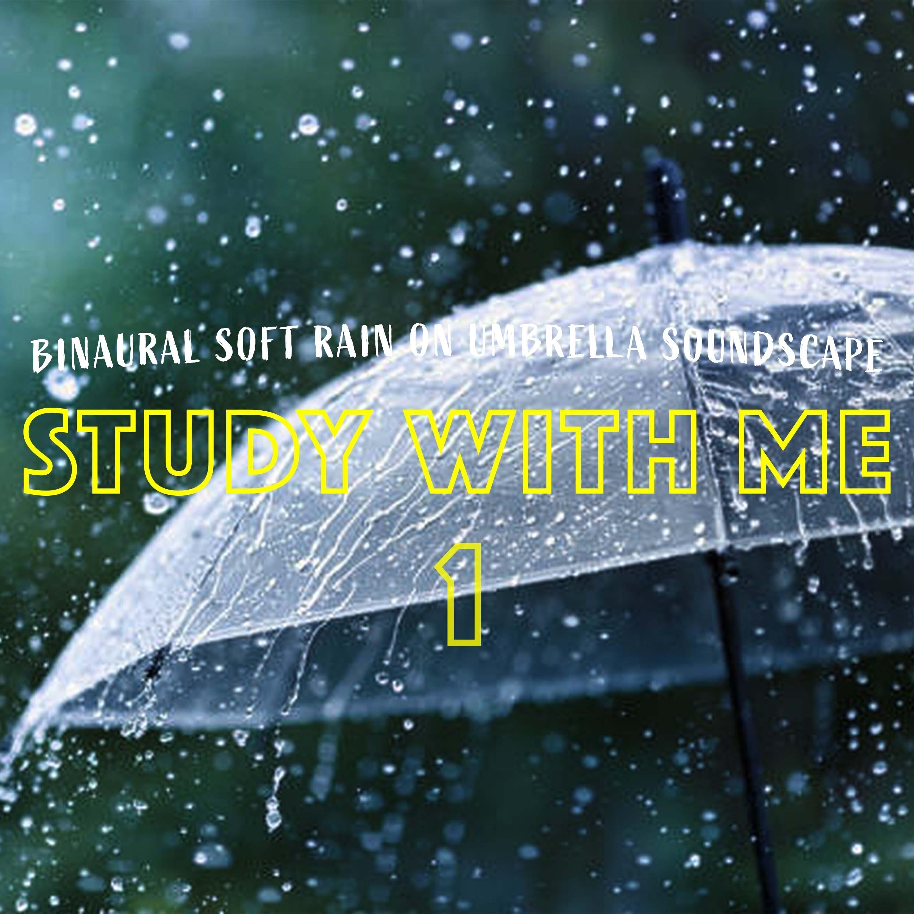 Binaural Soft Rain on Umbrella Soundscape, Pt. 19 - Bryan Maxwell - 单曲 - 网易云音乐
