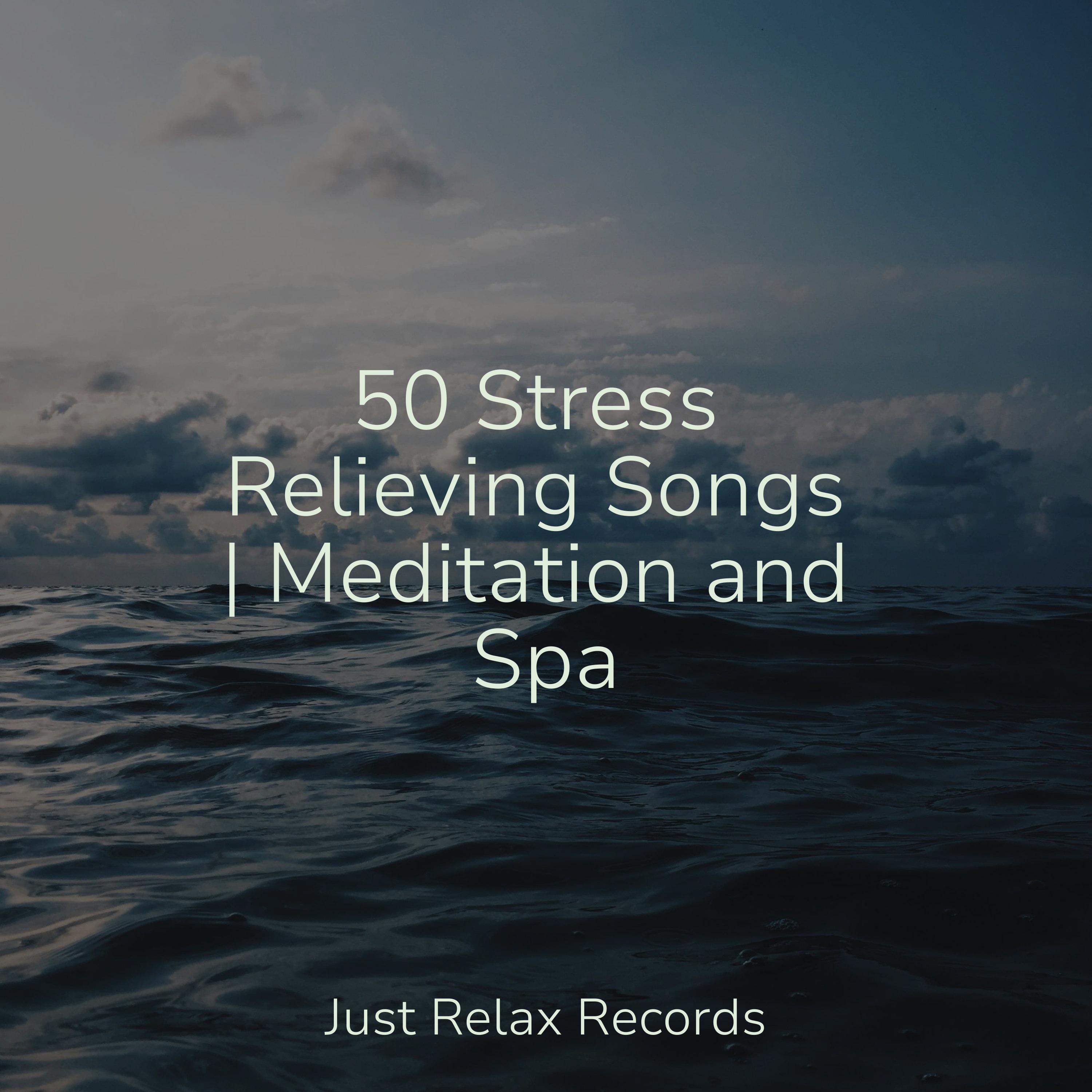 50 Stress Relieving Songs | Meditation and Spa - Alpha Waves - 专辑 - 网易云音乐