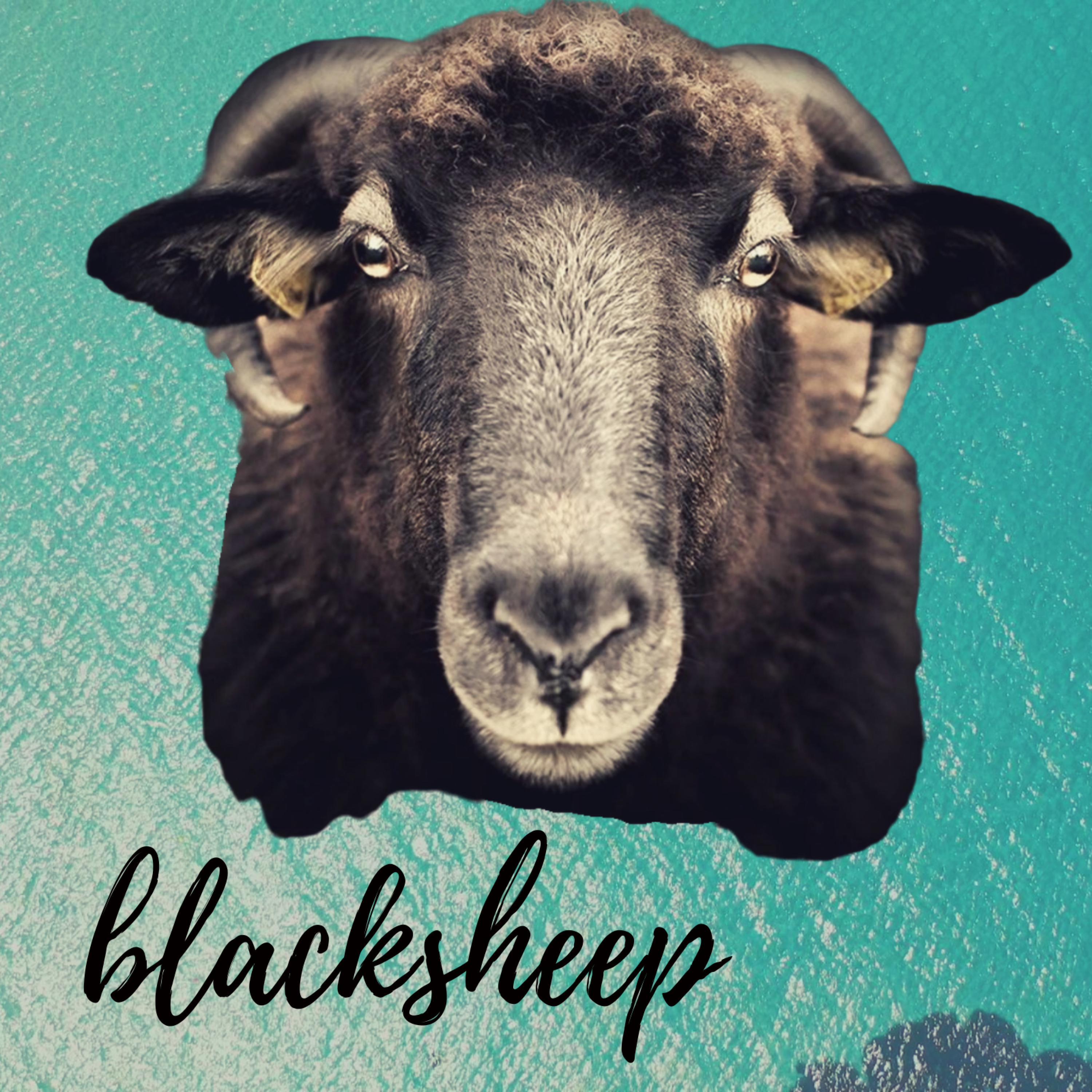 blacksheep (mixed by david padilla 48.wav Remix) - J.C/david padilla mixedby48.wav - 单曲 - 网易云音乐