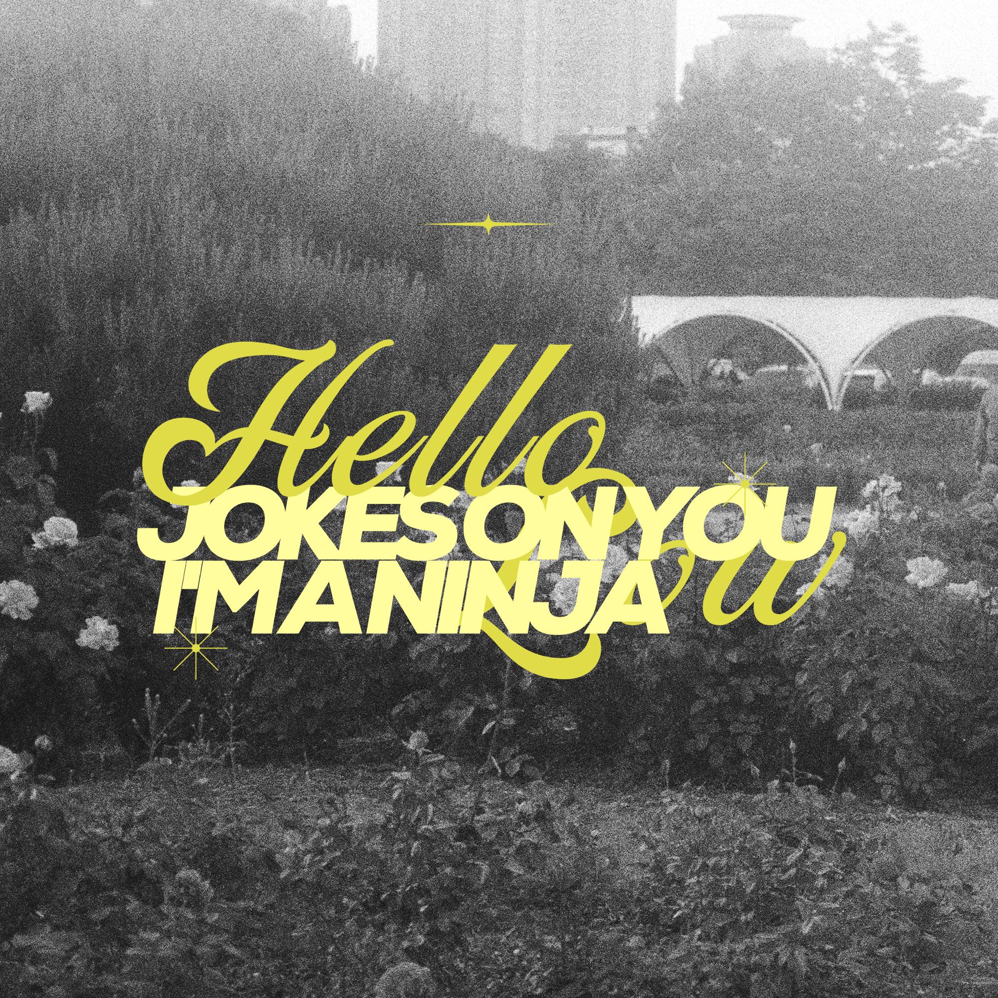 Jokes On You I'm A Ninja - hello low - 专辑 - 网易云音乐