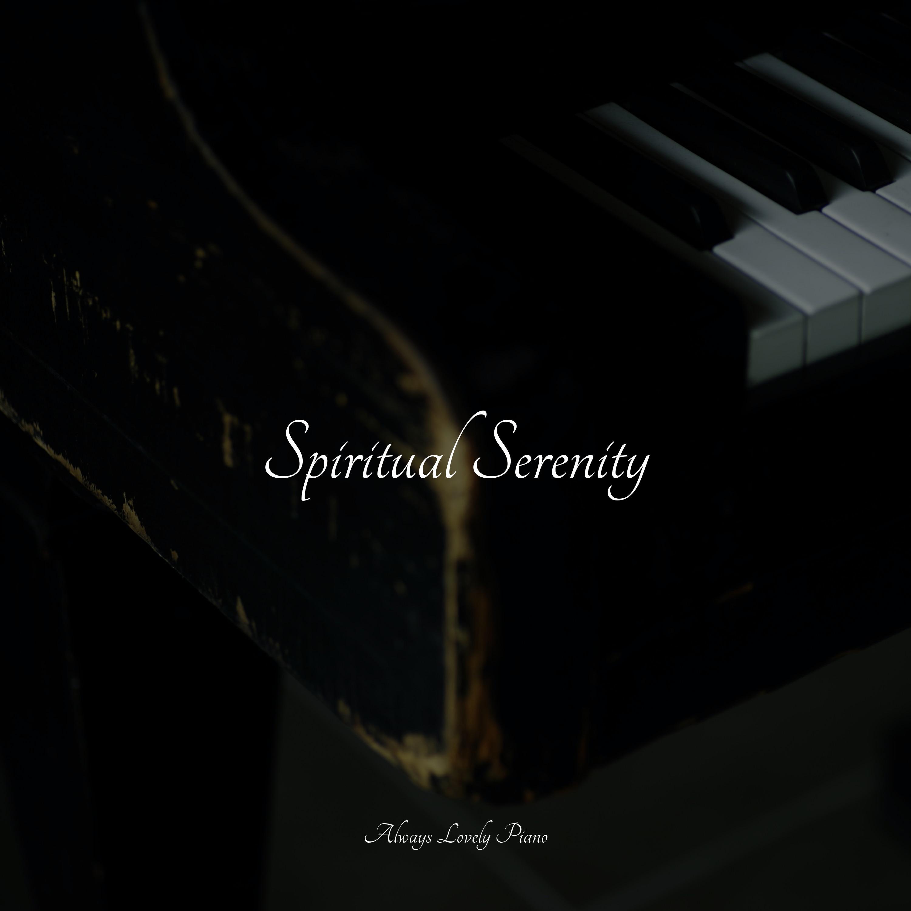 Soft Relaxation Music Calming Piano 专辑 网易云音乐