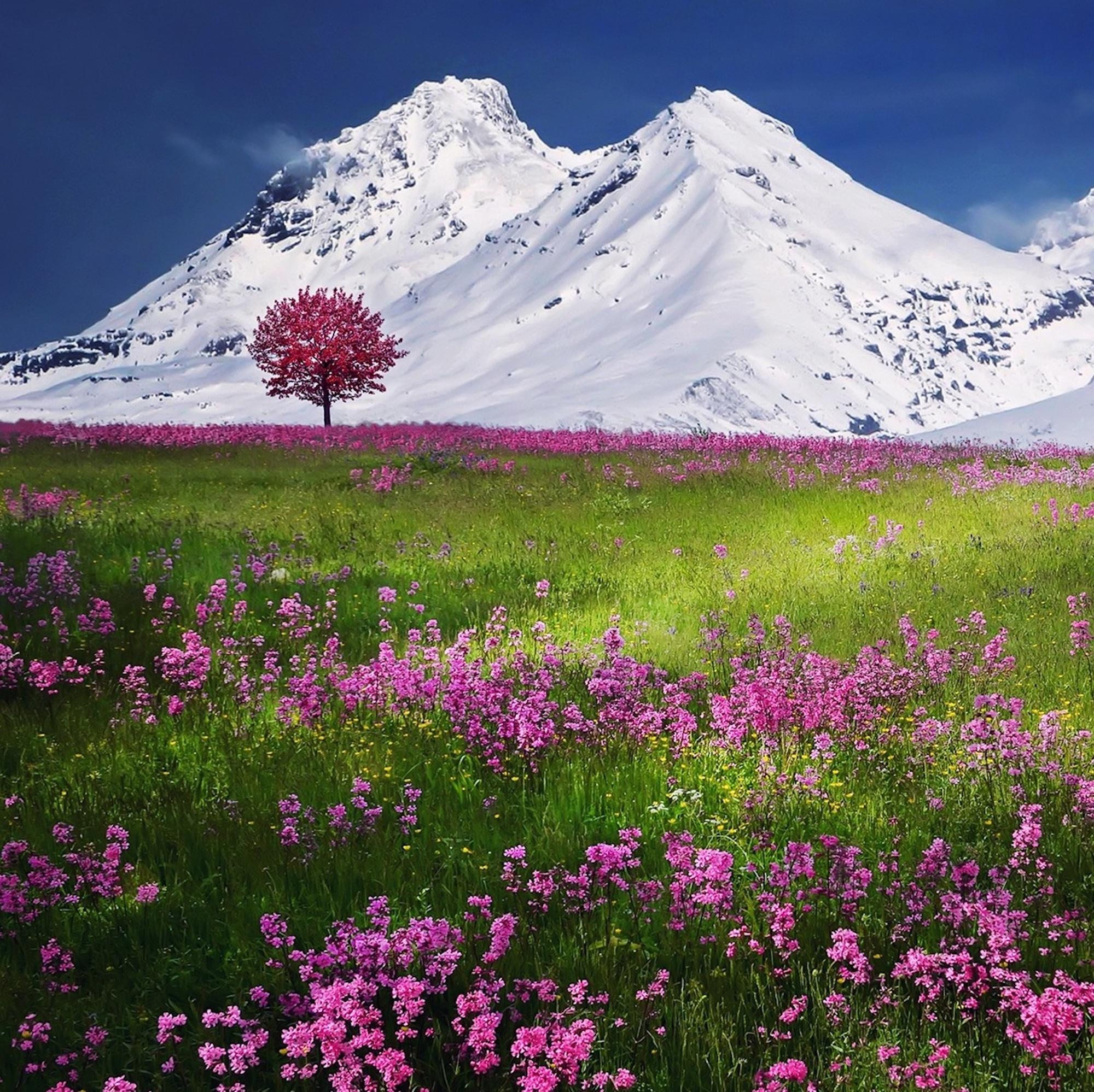 Fireside Sessions - The Sleep Helpers/Lucid Dreaming World-Collective Unconscious Mind/Rain ...