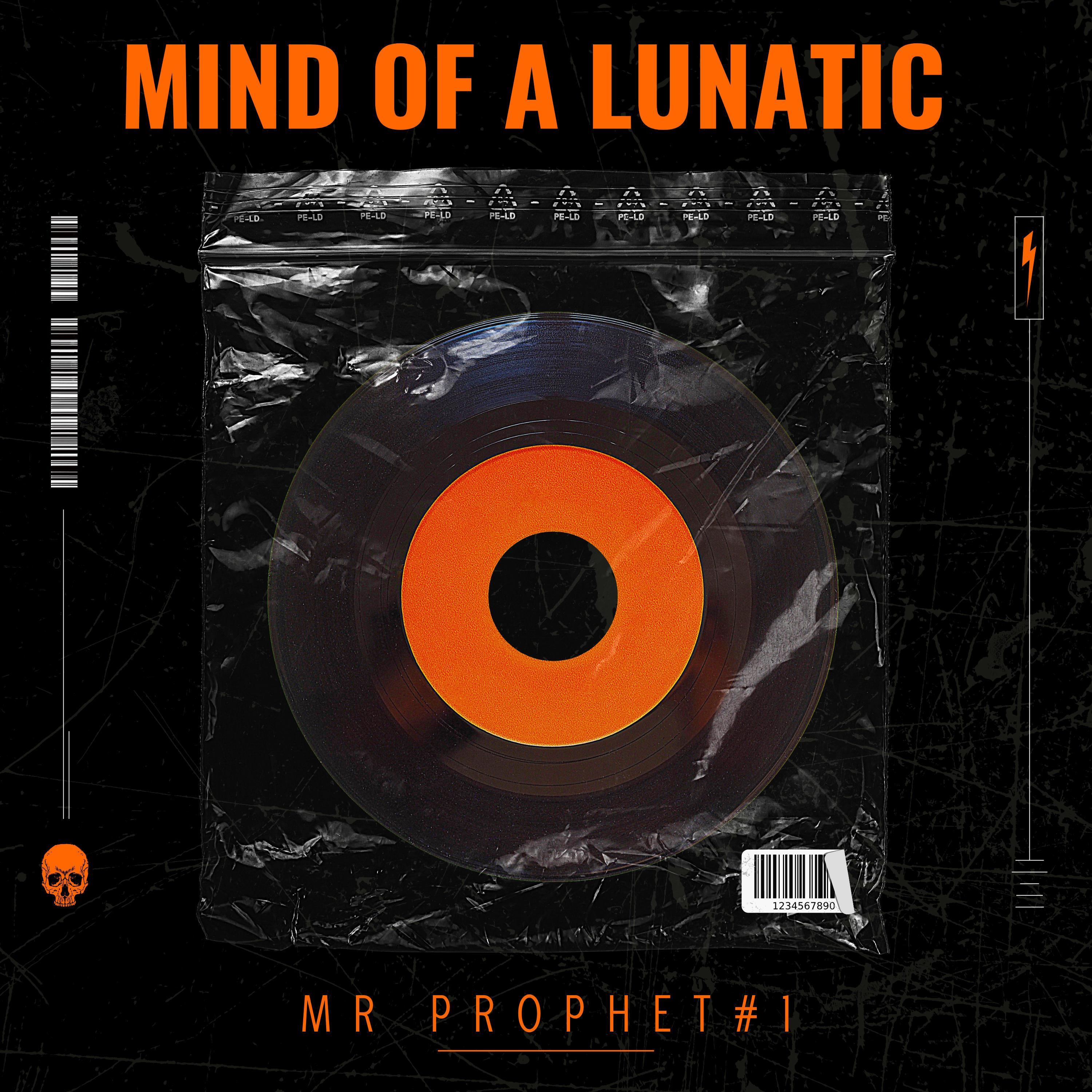 Mind Of A Lunatic - Mr prophet#1 - 专辑 - 网易云音乐