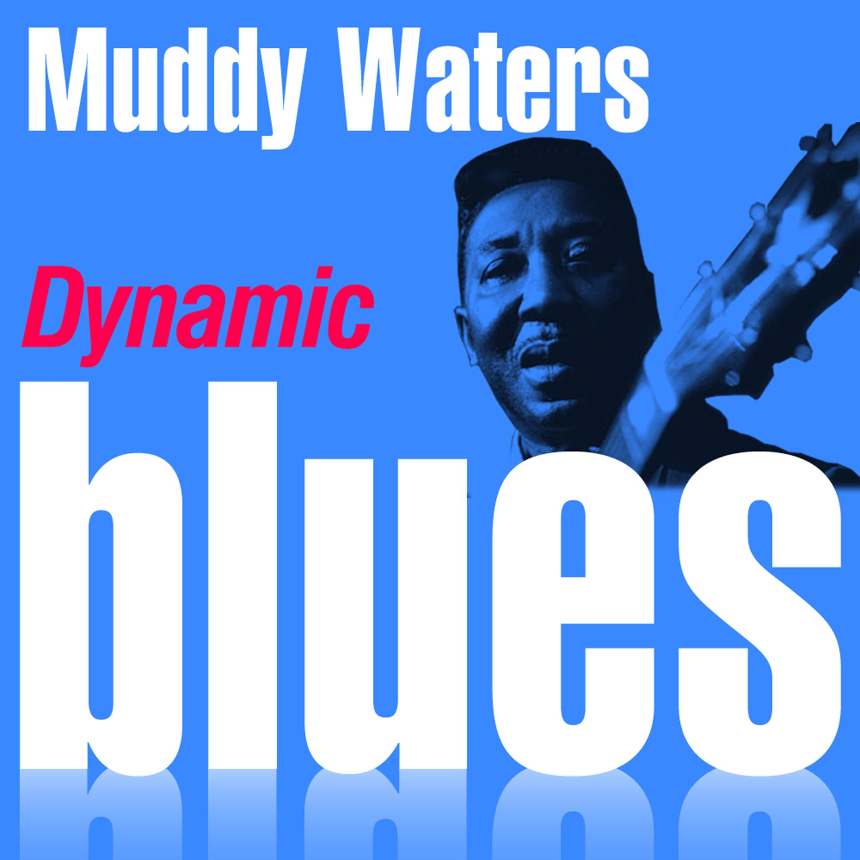 Rollin' Stone - Muddy Waters - 单曲 - 网易云音乐