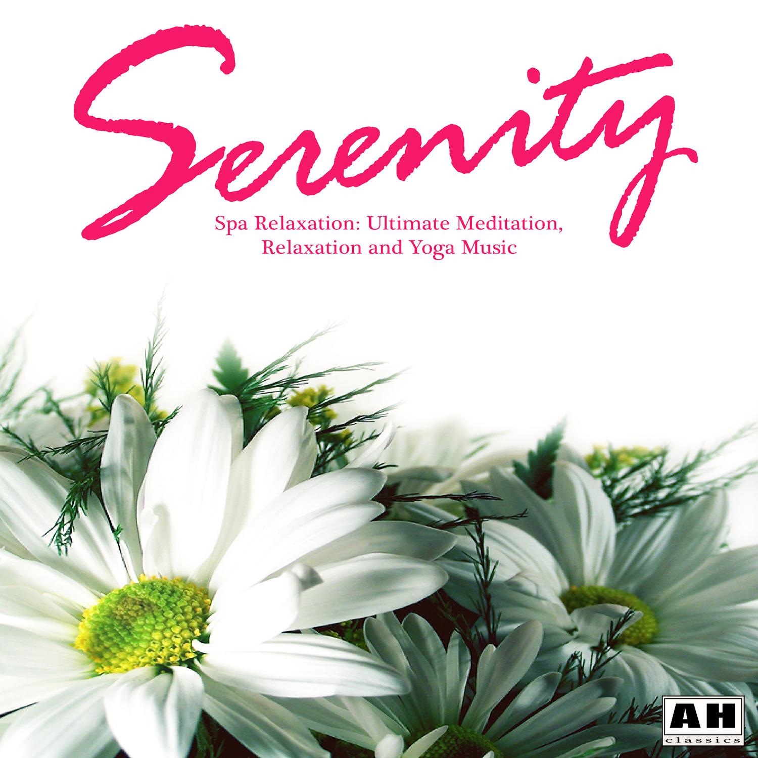 Meditations - Serenity: Spa Relaxation - 单曲 - 网易云音乐
