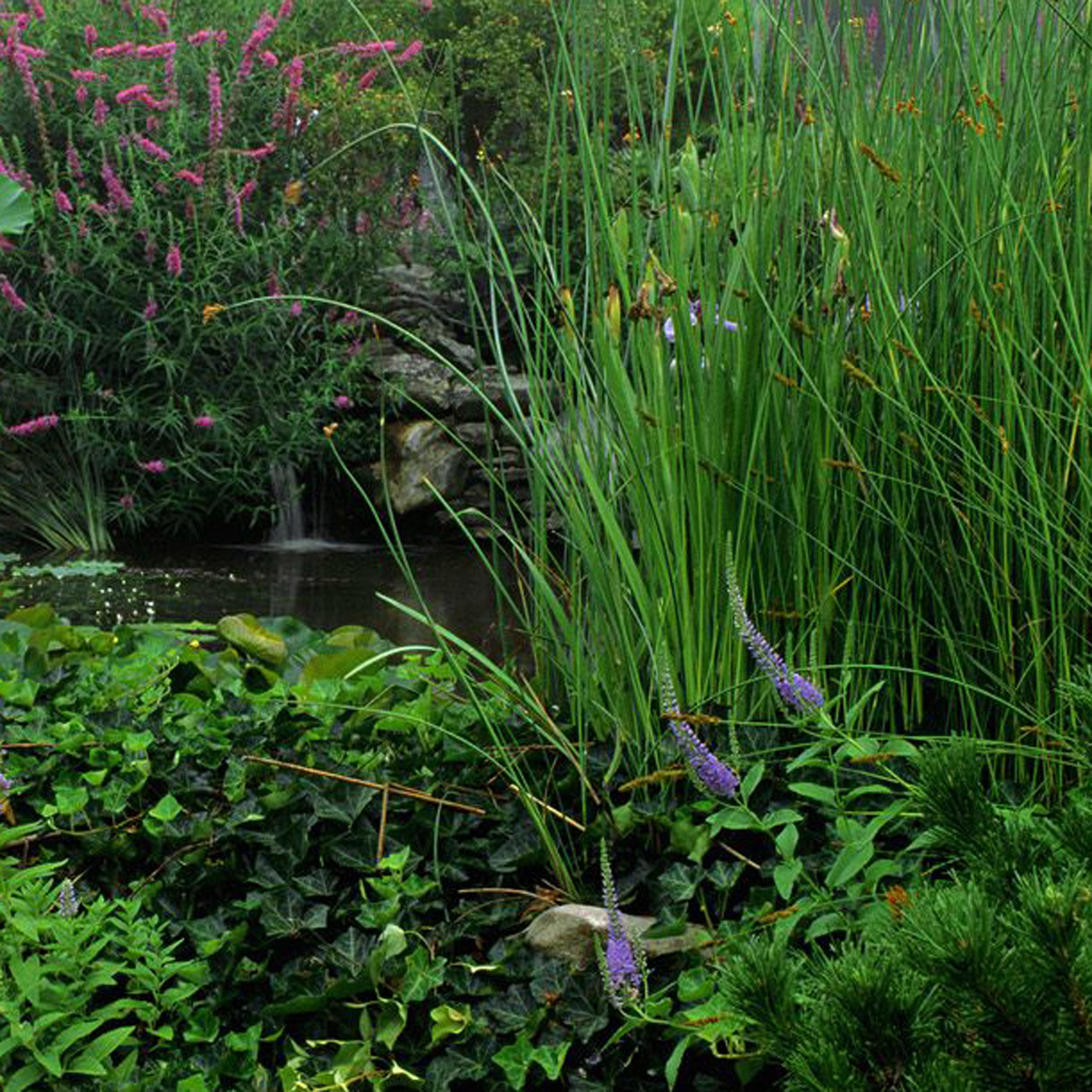 DJDJ我要上头了 - 小悦羊 - 单曲 - 网易云音乐