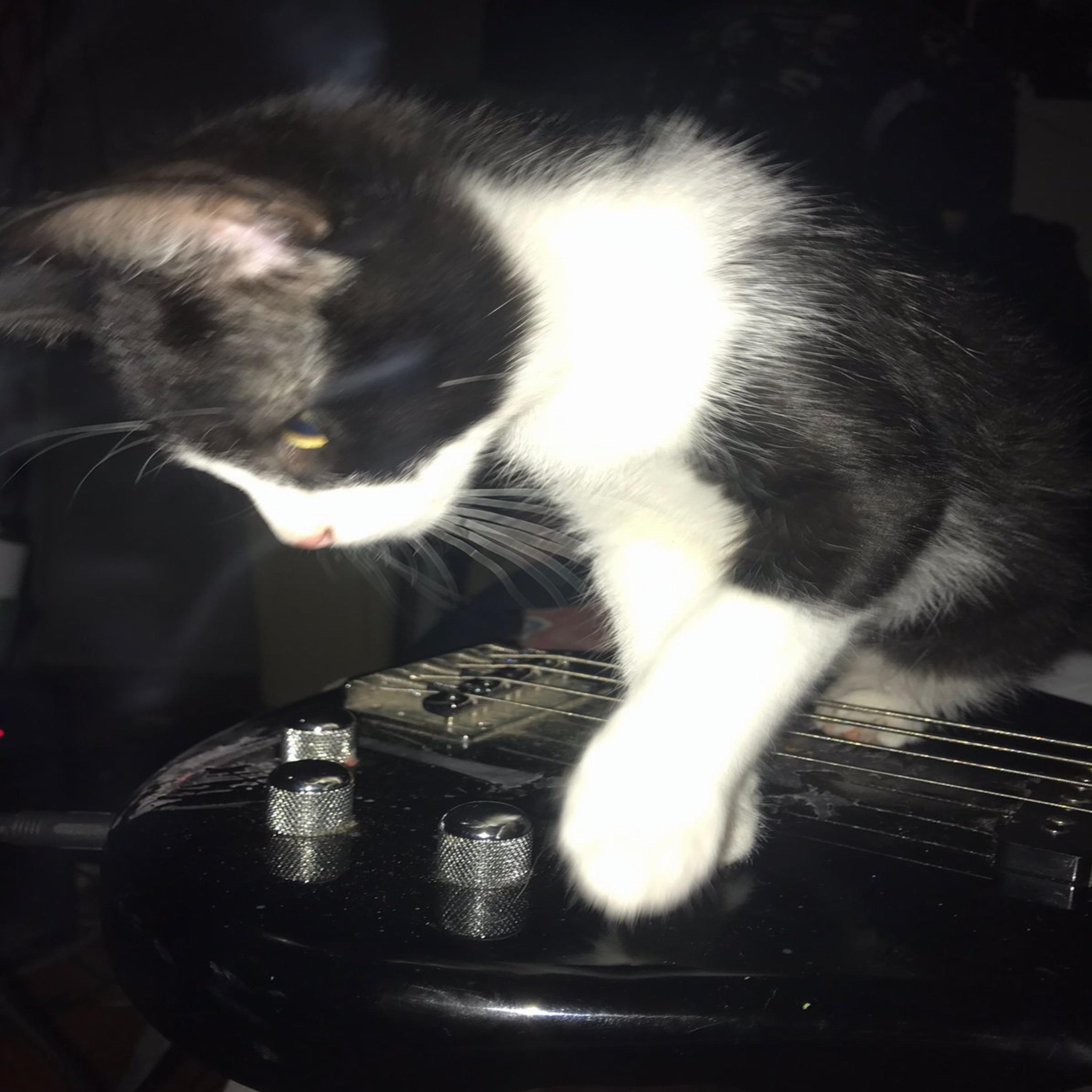 te guardo en que fuiste la parte más linda de mi adolescencia ...