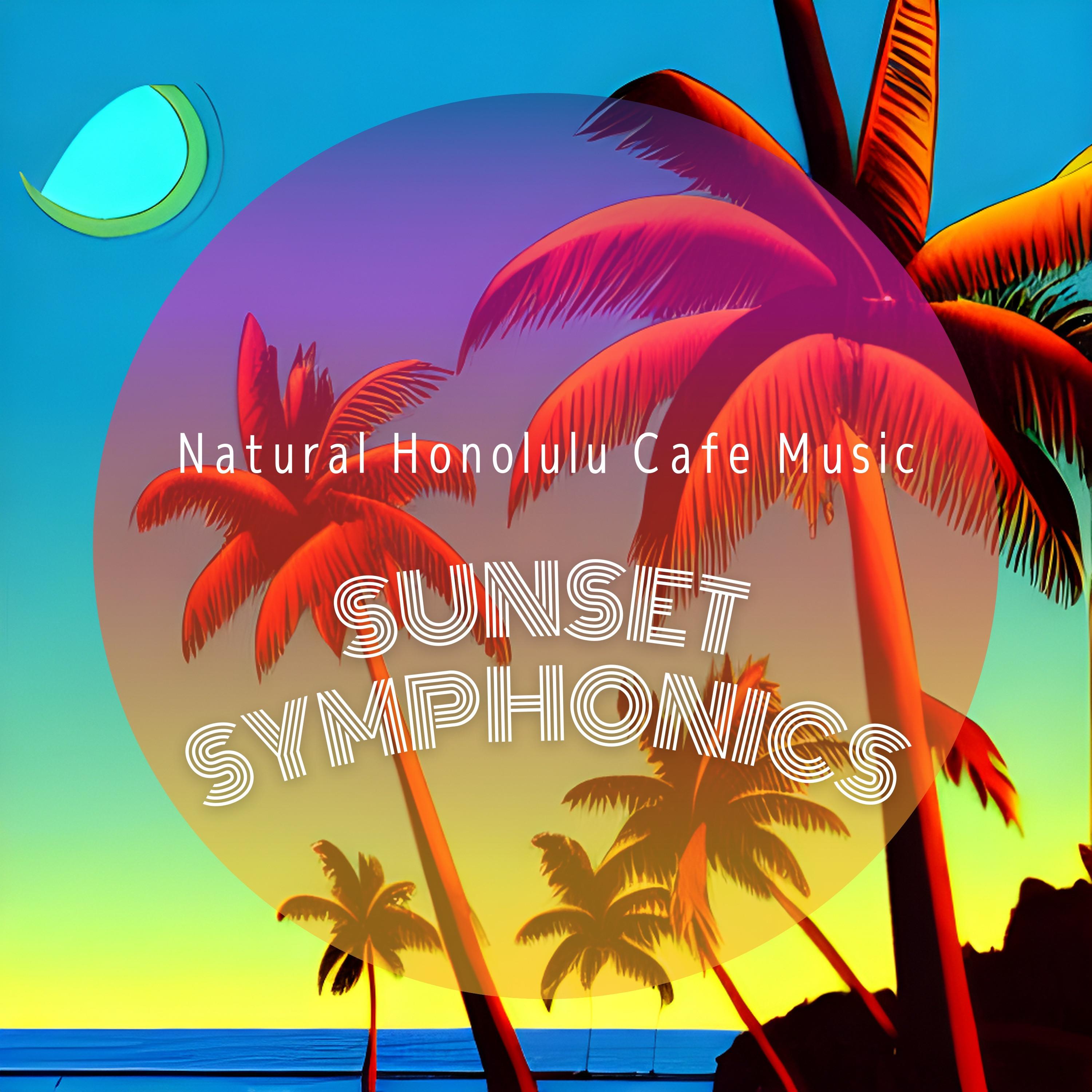 Aloha Friday - Sunset Symphonics - 单曲 - 网易云音乐