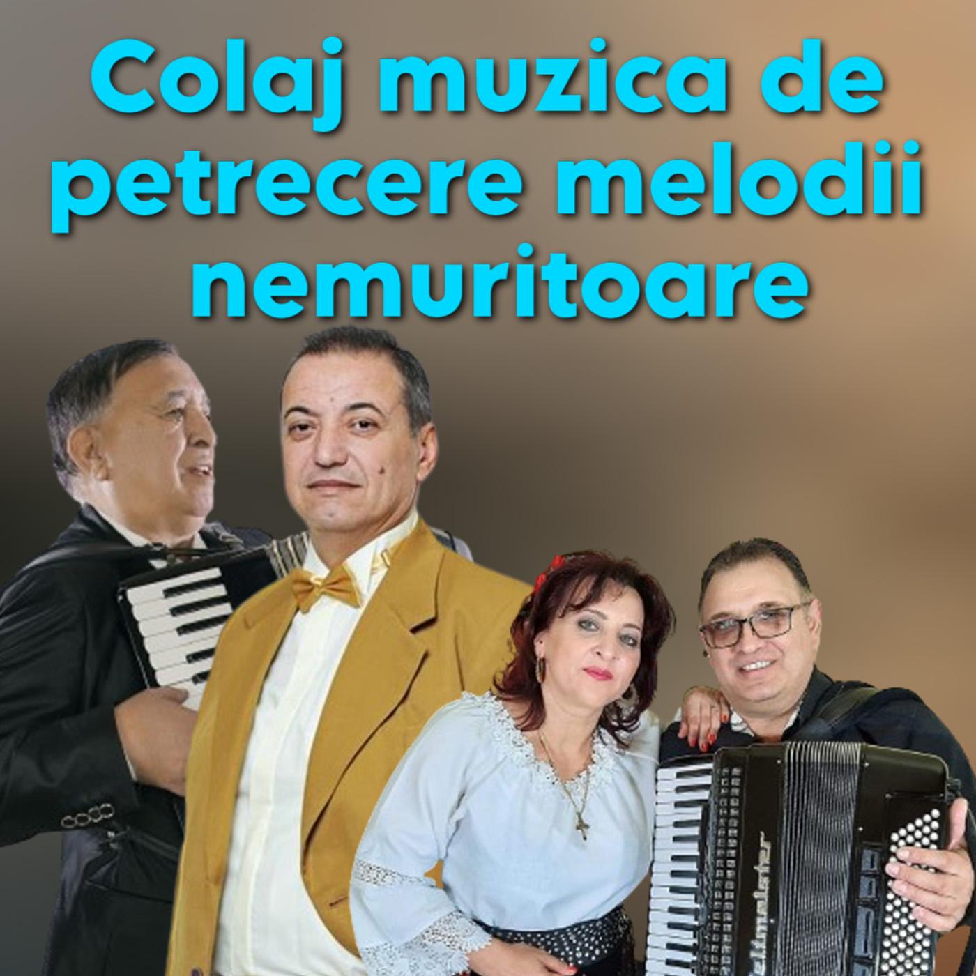 Muzica populara de Petrecere Hore si Sarbe - FRATII COJISTEANU/Nelu ...