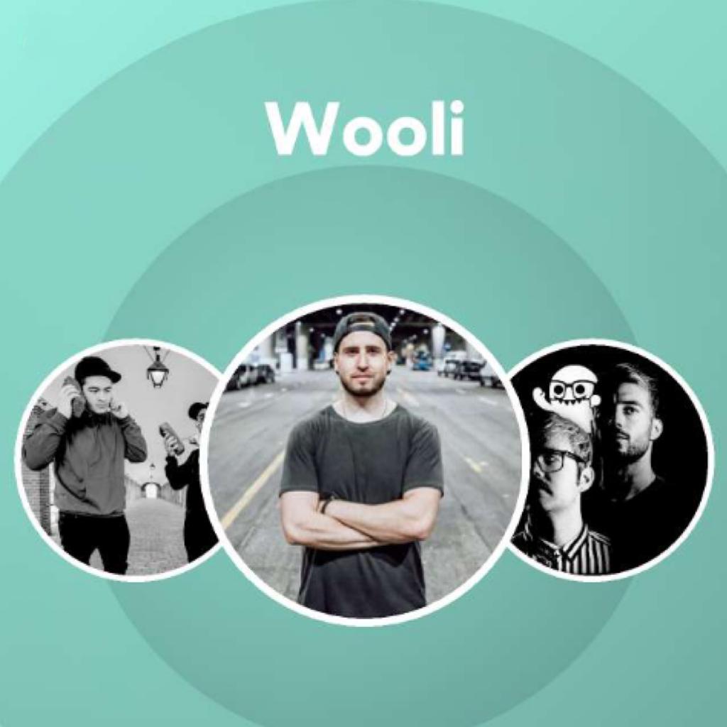 【Wooli】我珍藏的电音歌单 - 歌单 - 网易云音乐