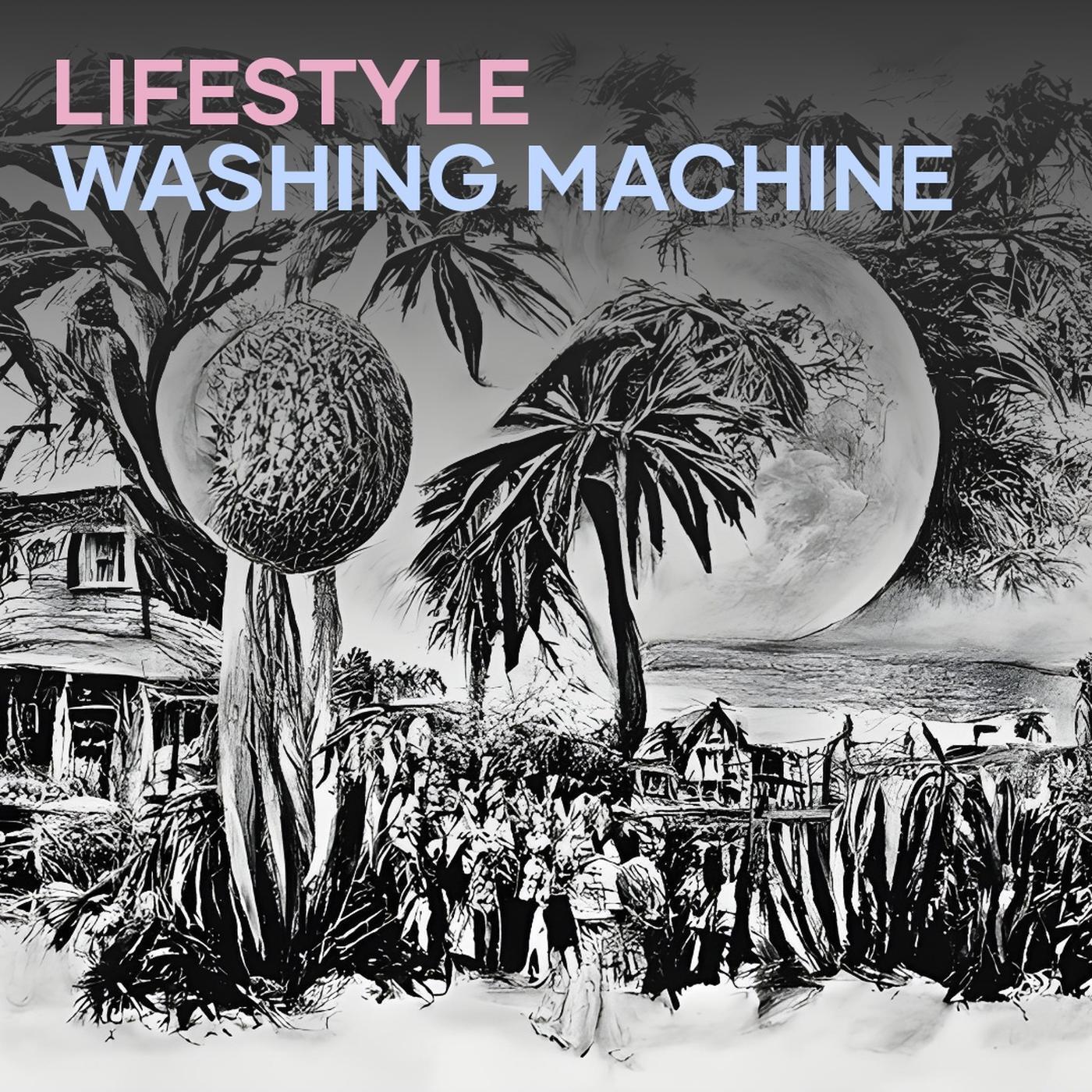 Lifestyle Washing Machine - SRI RIDHA DARMAWATI - 专辑 - 网易云音乐