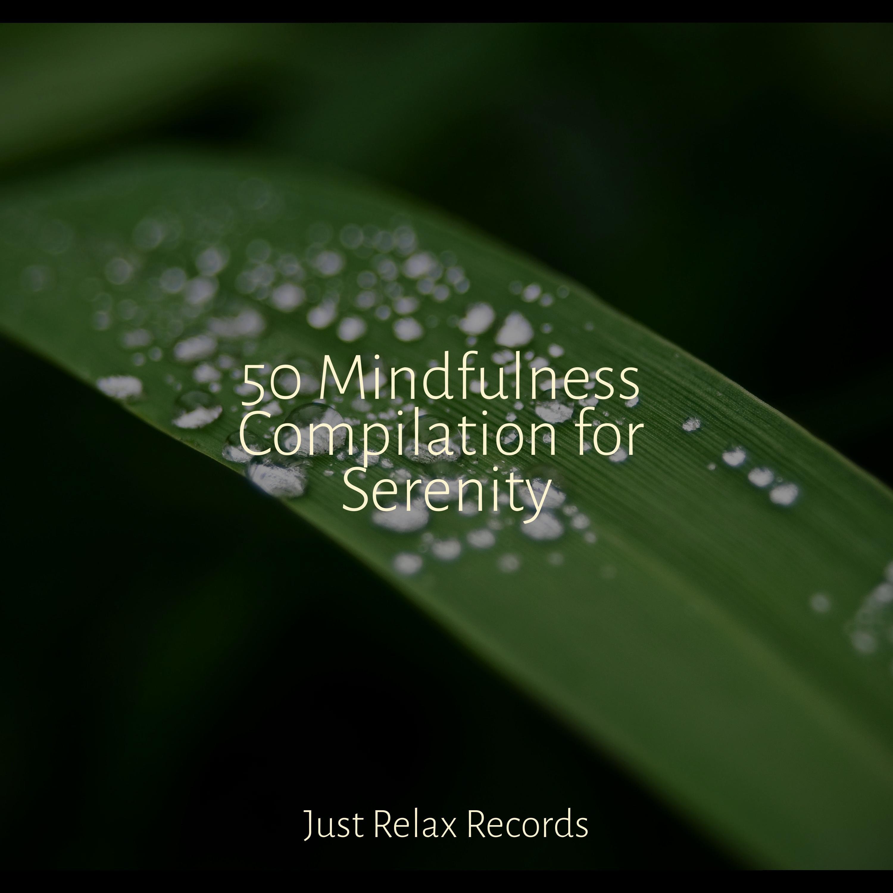 Sylvan Enchantment - Relaxing Music/Anxiety Relief/Calm Music for ...