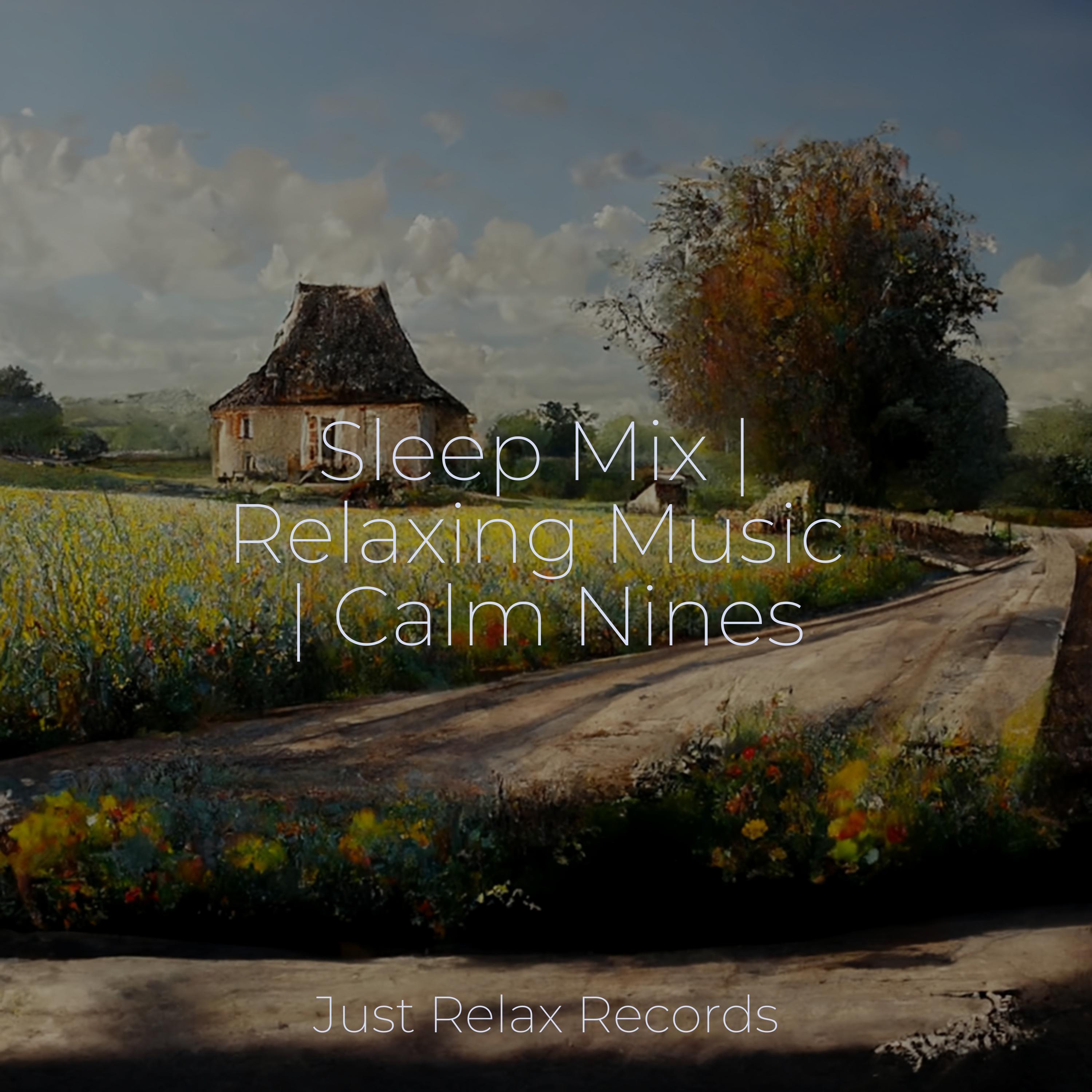 Sleep Mix | Relaxing Music | Calm Nines - Lounge Music Café - 专辑 - 网易云音乐