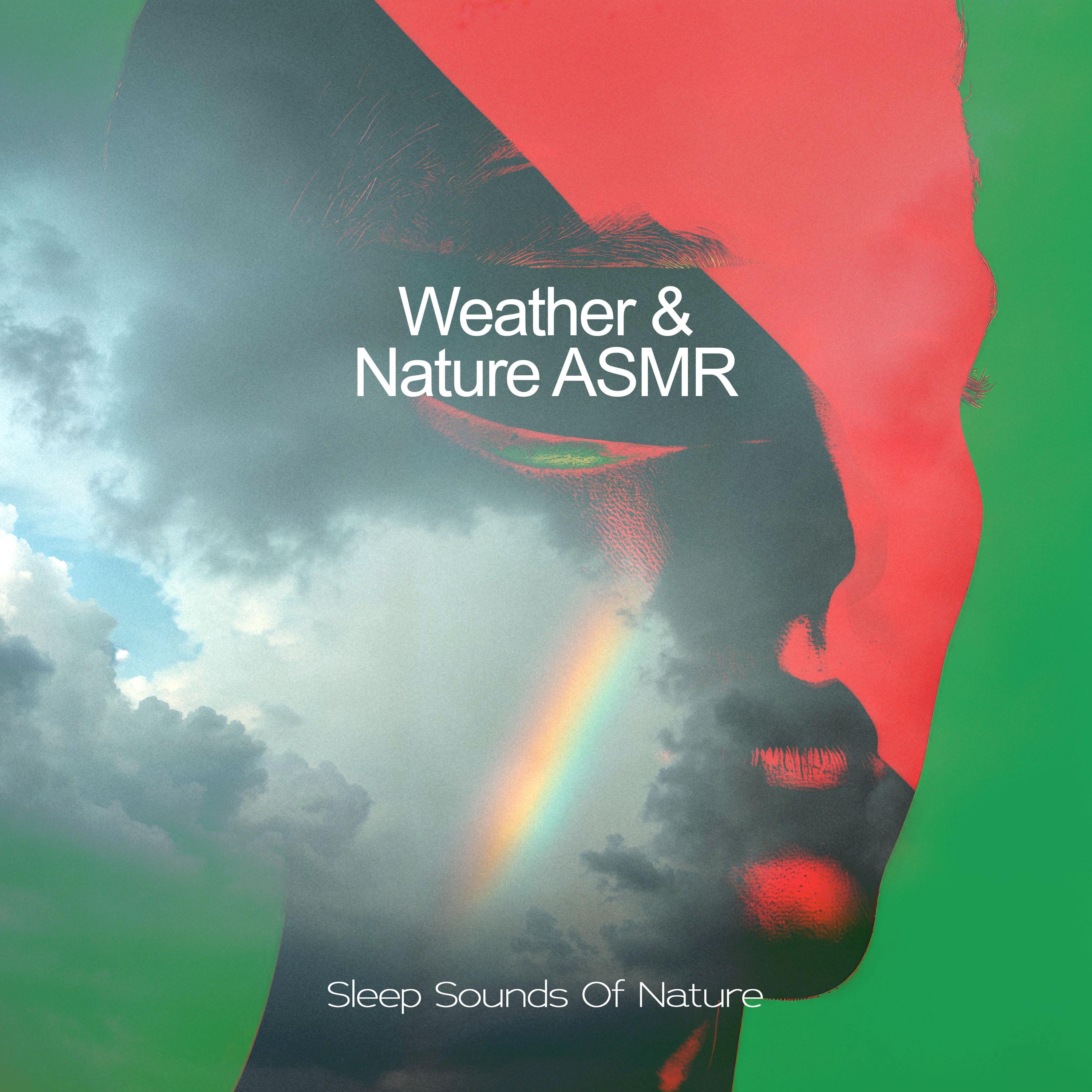 Weather & Nature ASMR - Sleep Sounds of Nature - 专辑 - 网易云音乐