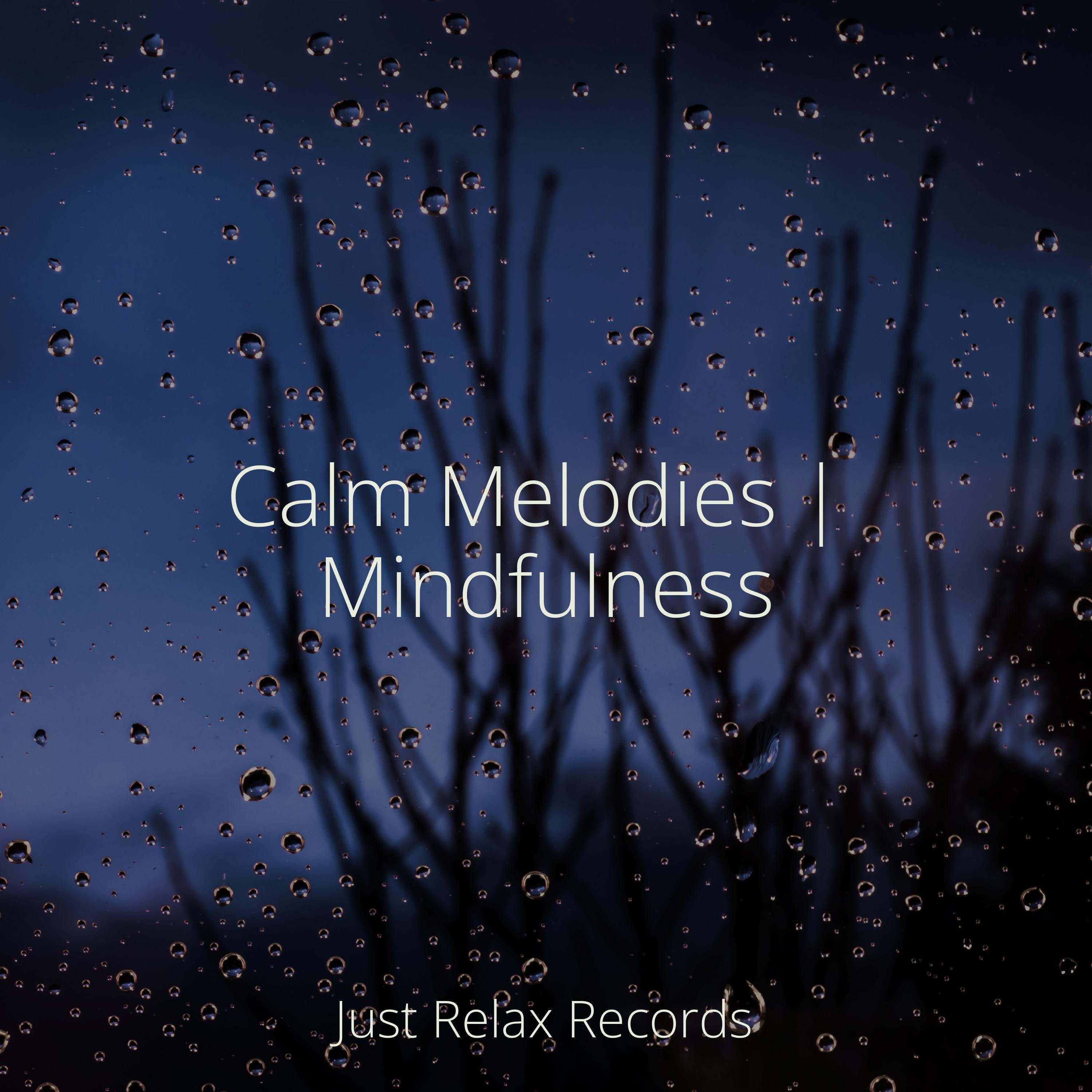 Calm Melodies | Mindfulness - Relaxing Music - 专辑 - 网易云音乐