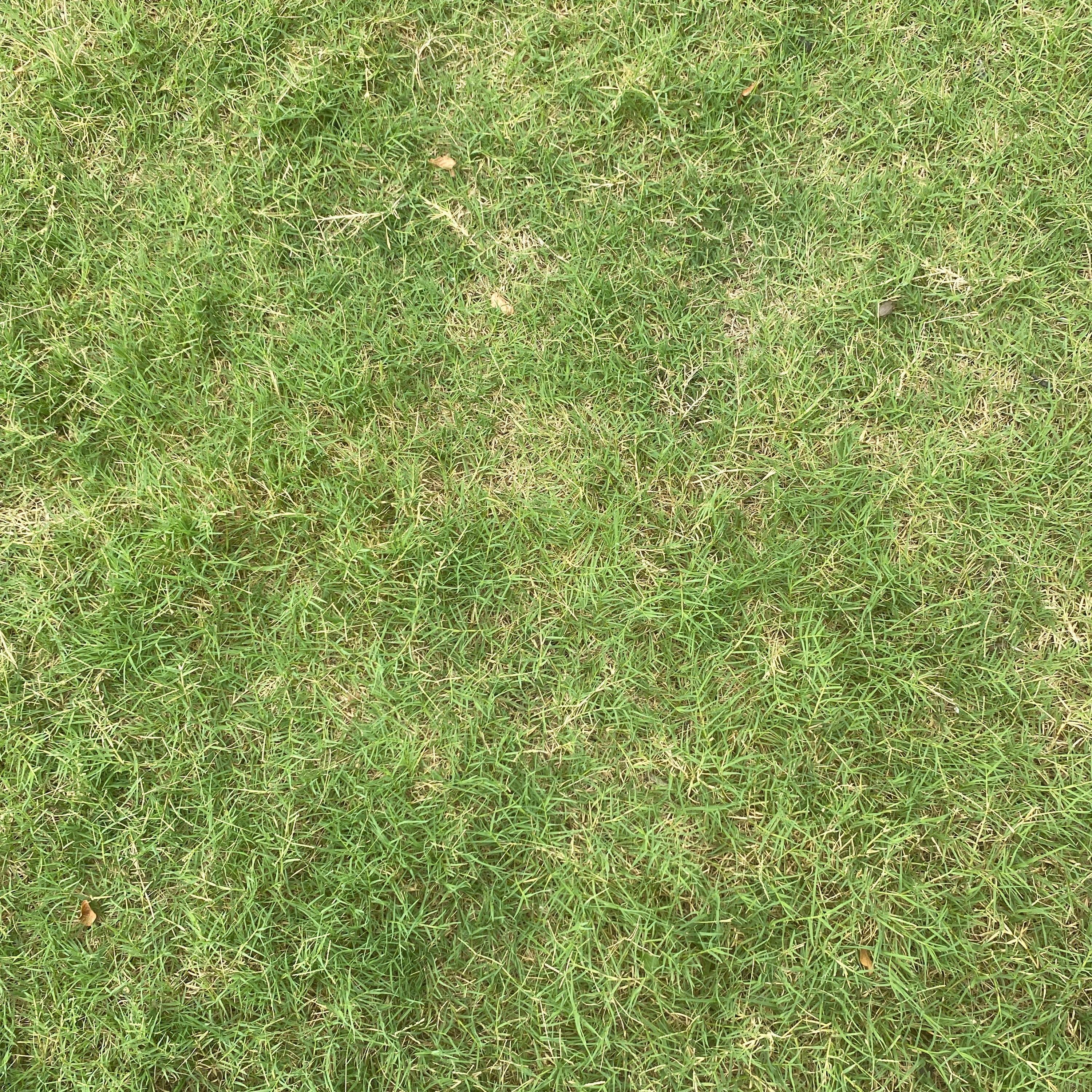 Need Me - Quick Draw - 单曲 - 网易云音乐