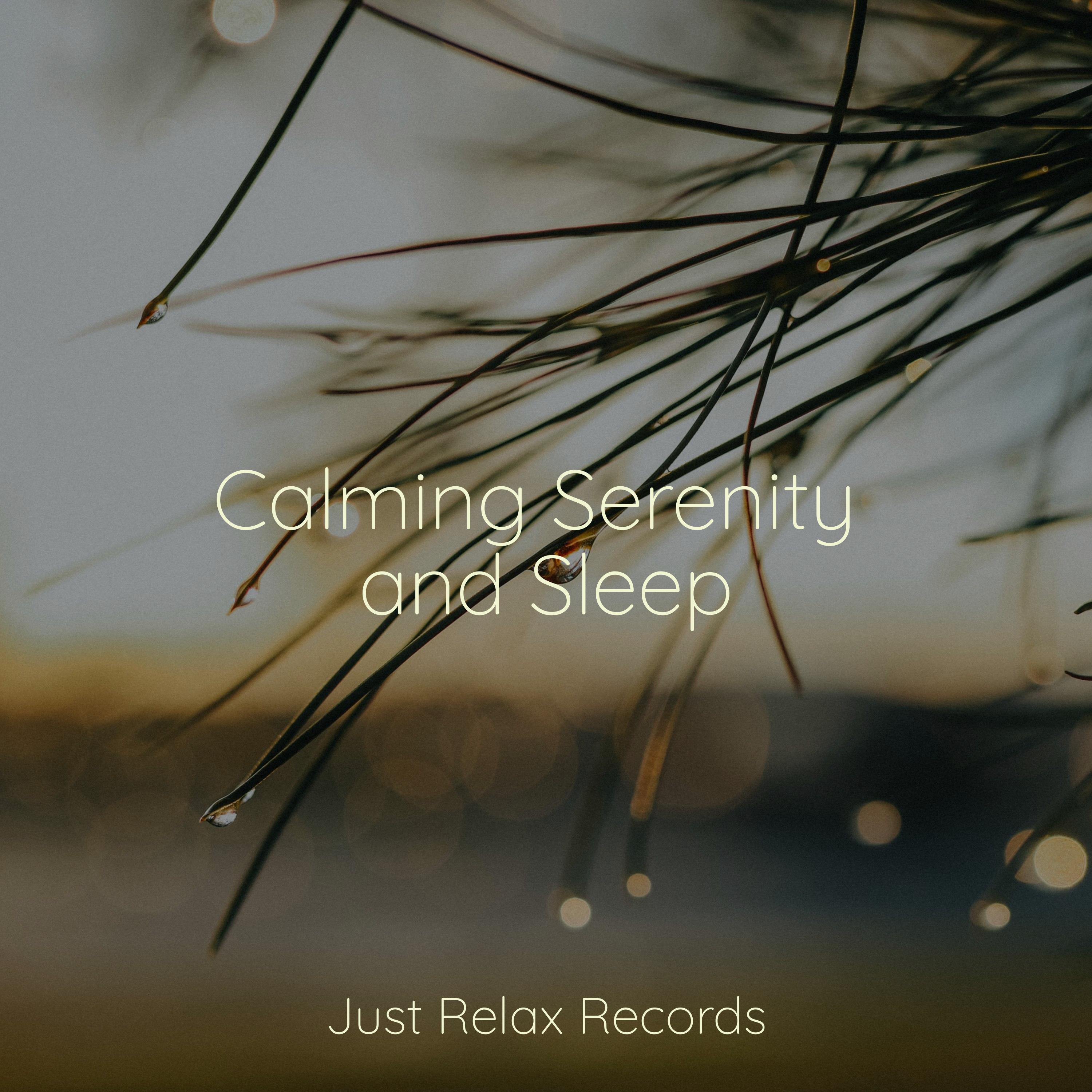 Calming Serenity and Sleep - Exam Study Classical Music - 专辑 - 网易云音乐