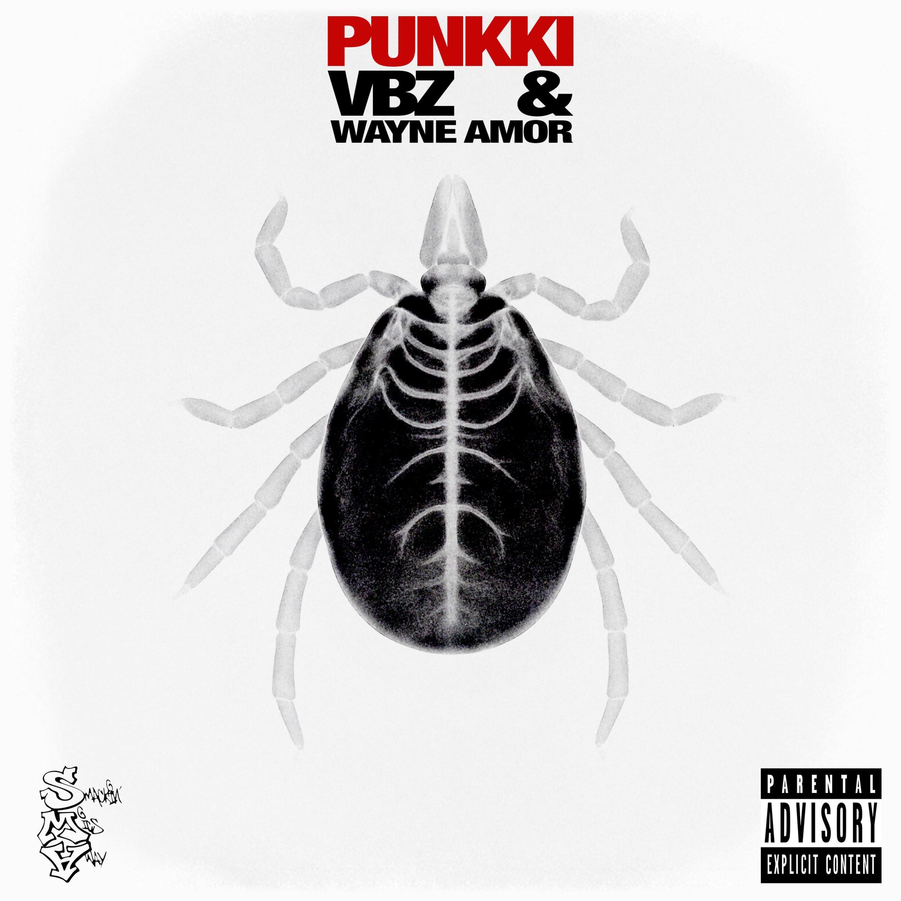 PUNKKI - VBZ/Wayne Amor - 单曲 - 网易云音乐