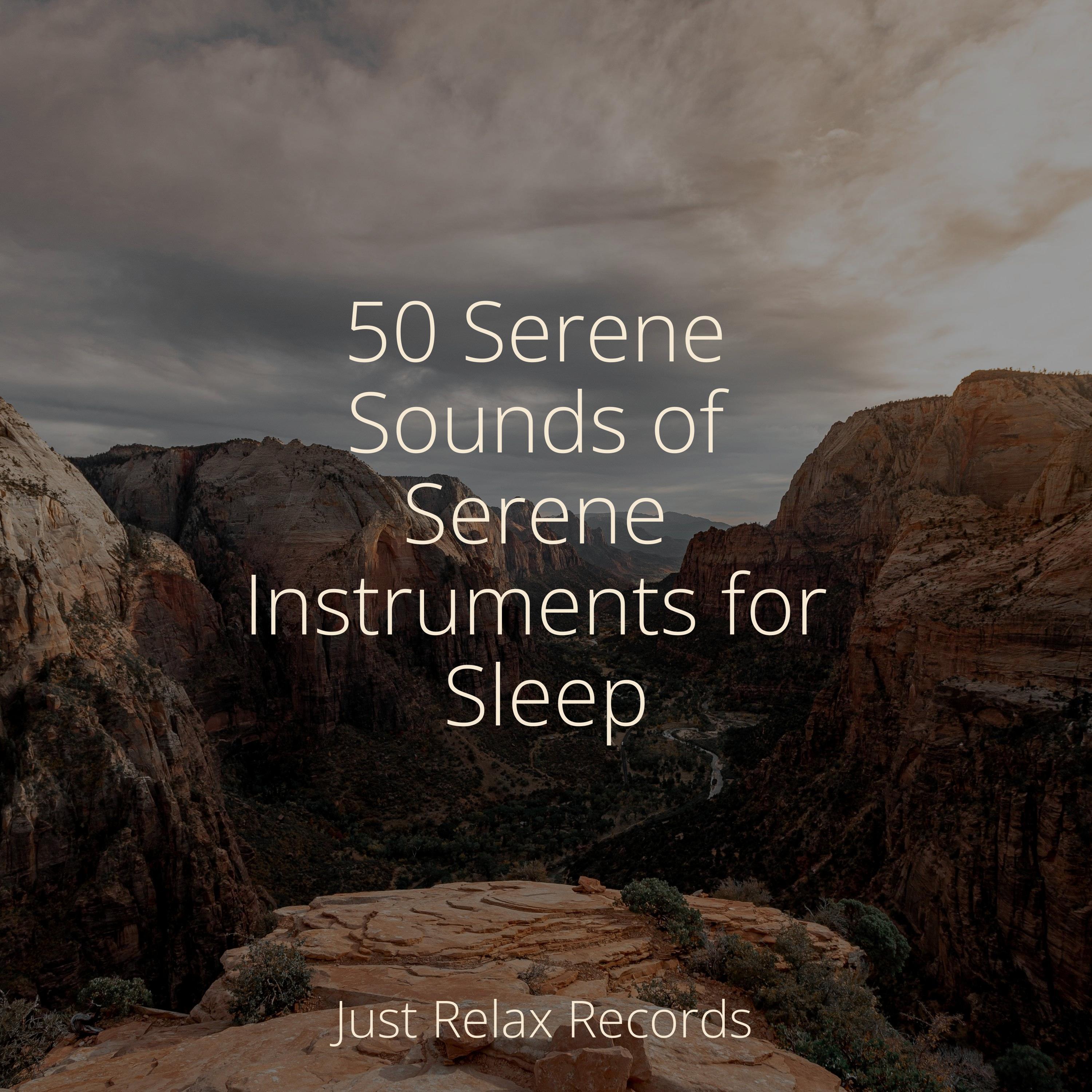 Flight of the Fluttering Soul - Exam Study Classical Music/Música para ...