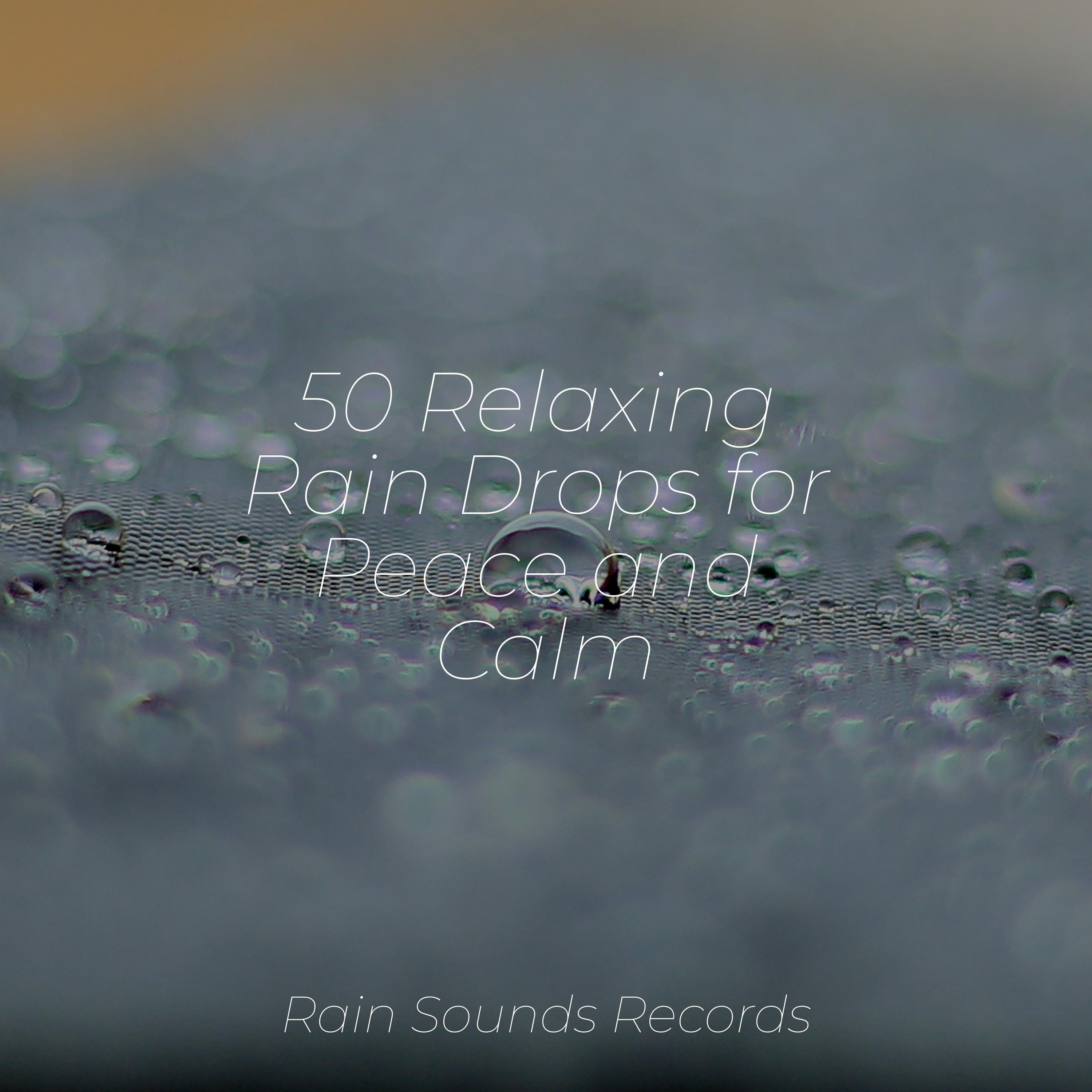 50 Relaxing Rain Drops for Peace and Calm - Spa Relaxation - 专辑 - 网易云音乐