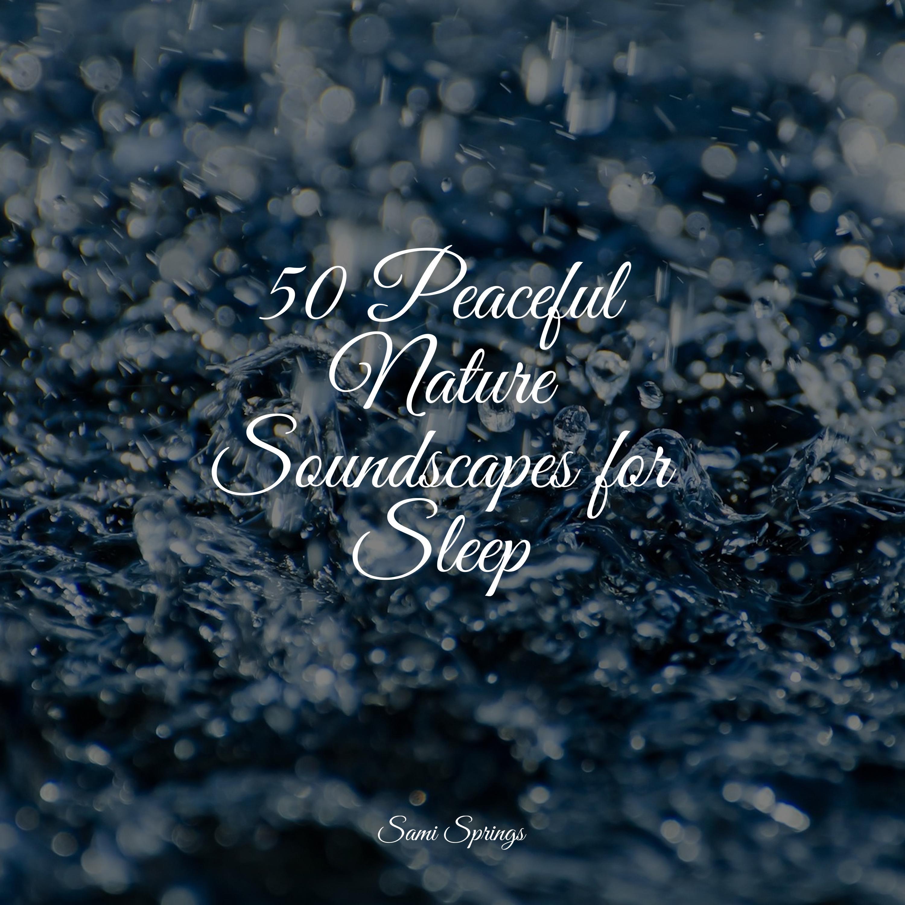 50 Peaceful Nature Soundscapes for Sleep - Sonidos de la Naturaleza ...