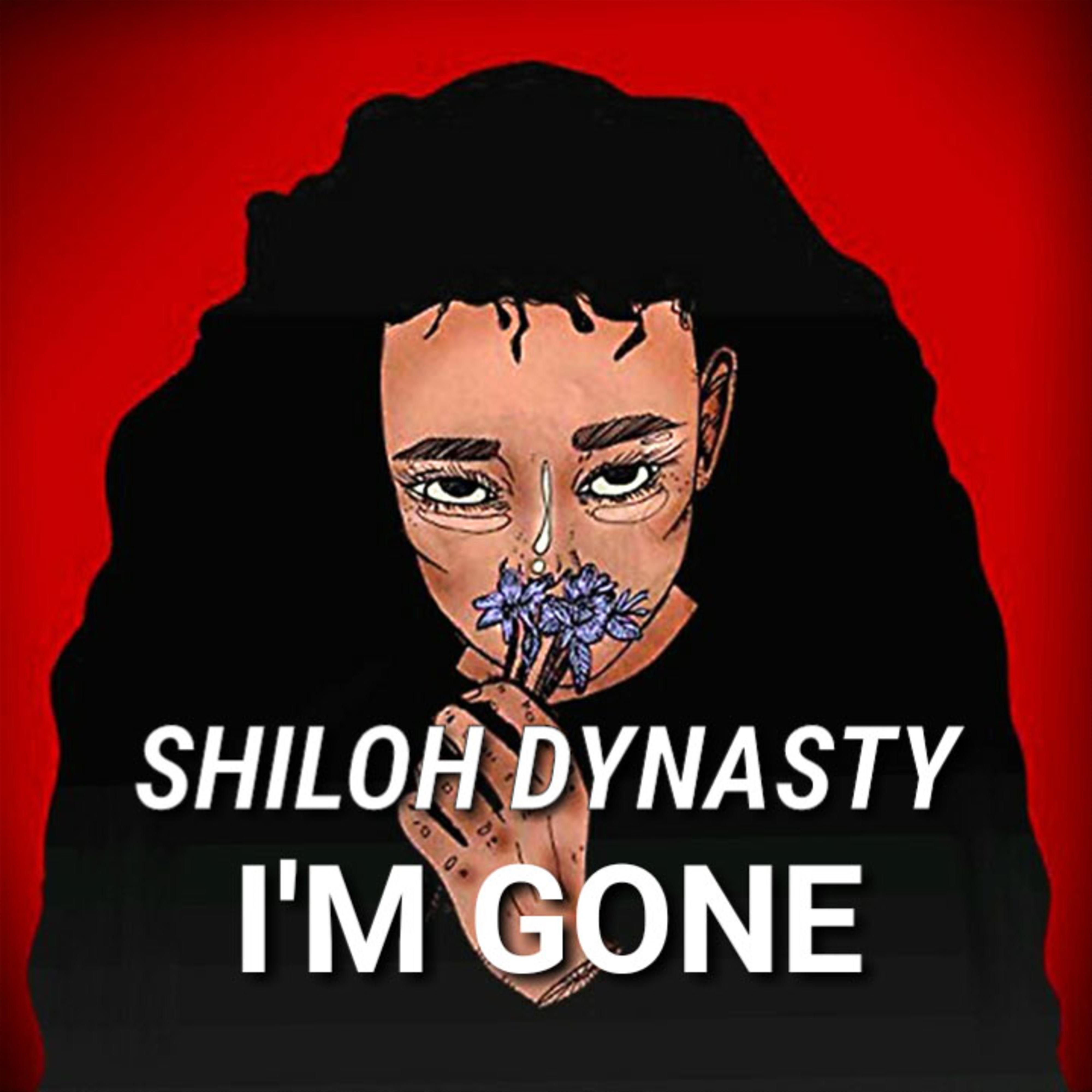 I'm Gone - Shiloh Dynasty - 专辑 - 网易云音乐