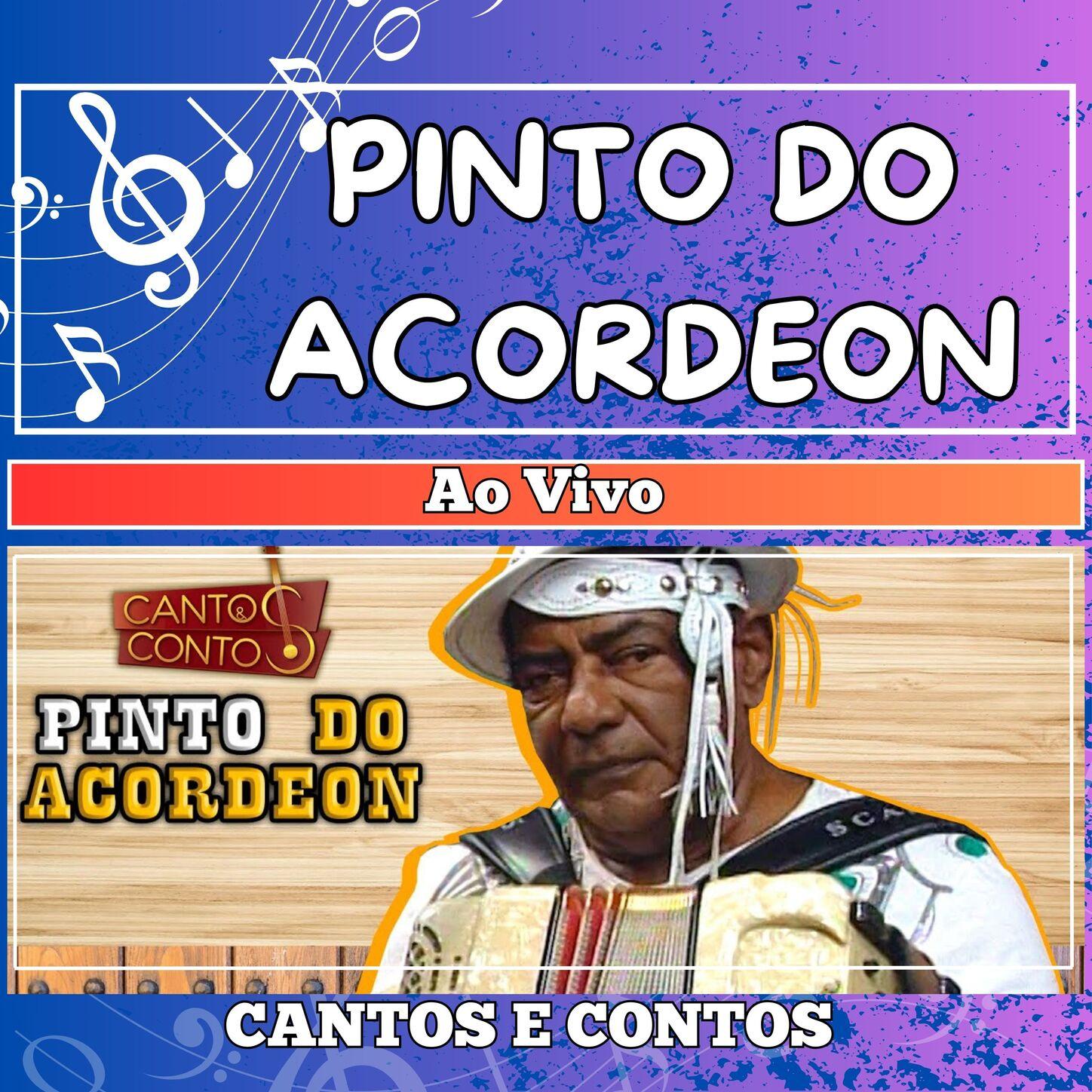 AO VIVO NO CANTOS E CONTOS - Pinto do Acordeon - 专辑 - 网易云音乐