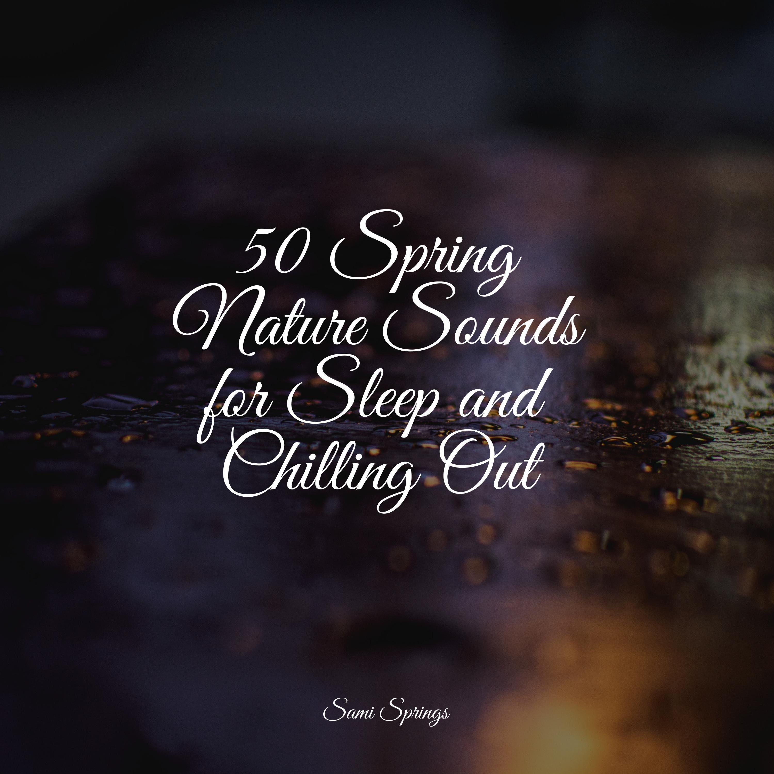 50 Spring Nature Sounds for Sleep and Chilling Out - Relax Meditate ...