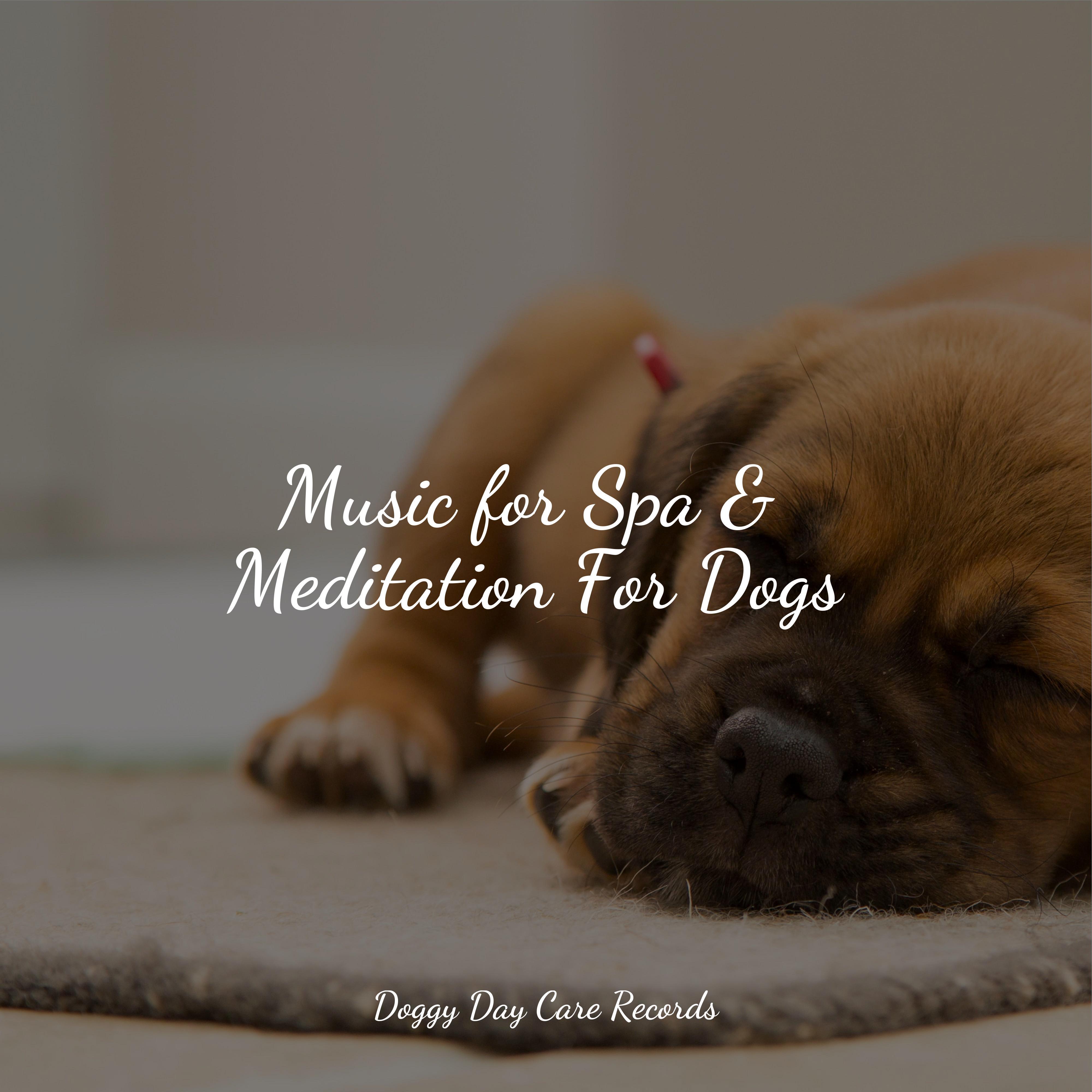 Ambient Textures - Relaxation Music For Dogs/Official Pet Care ...