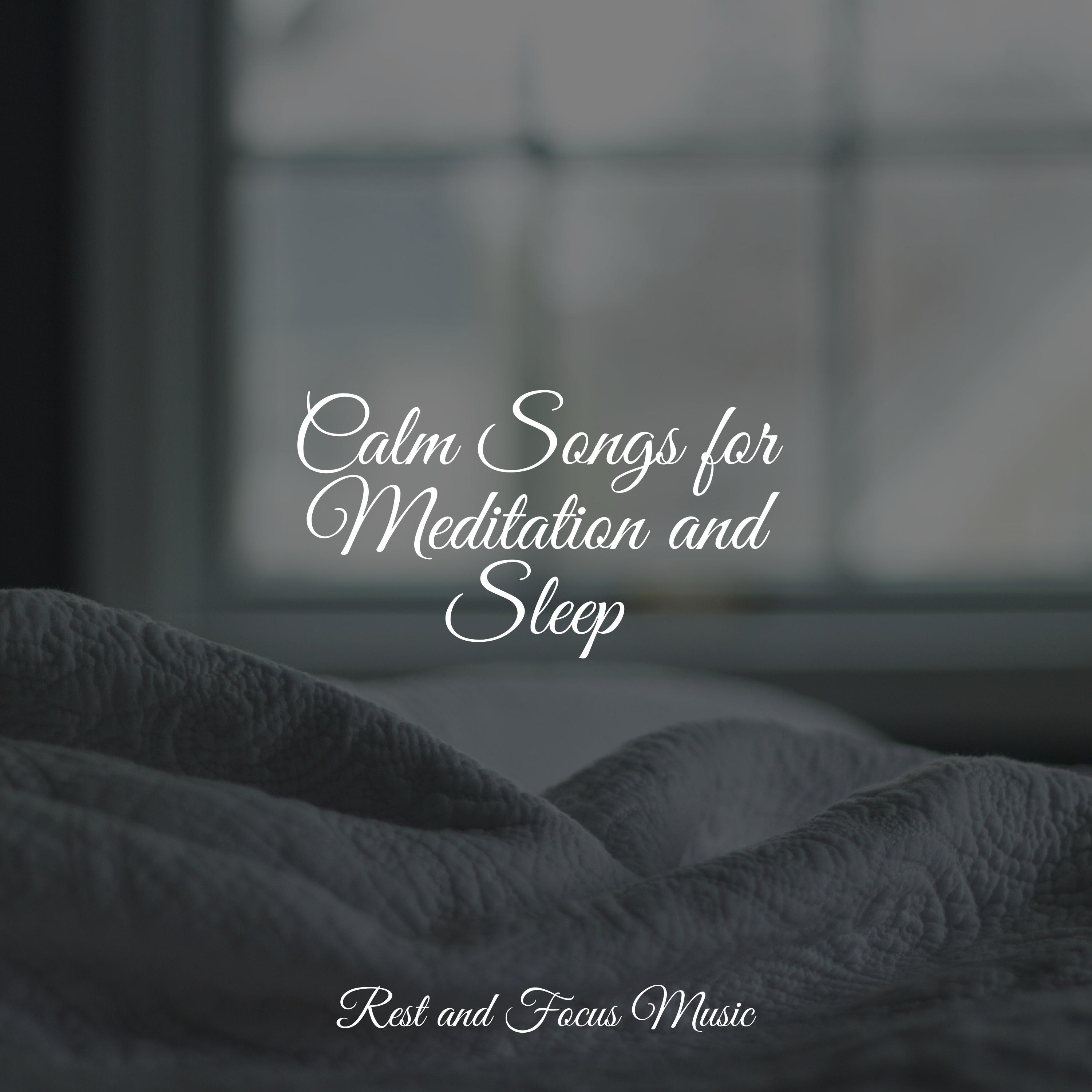 Calm Songs for Meditation and Sleep - Relaxing Sleep Sound - 专辑 - 网易云音乐