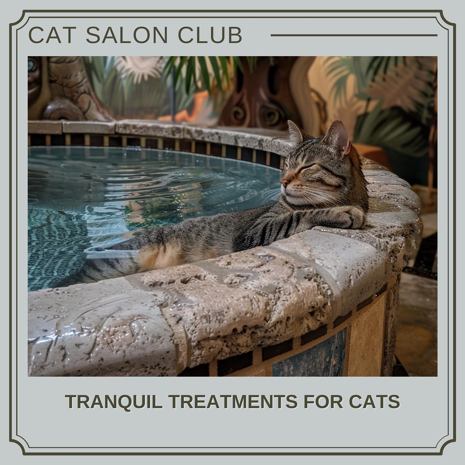 Soft Cushion - Cat Salon Club/Cat Music Relaxation/Cats Music Zone - 单曲 ...