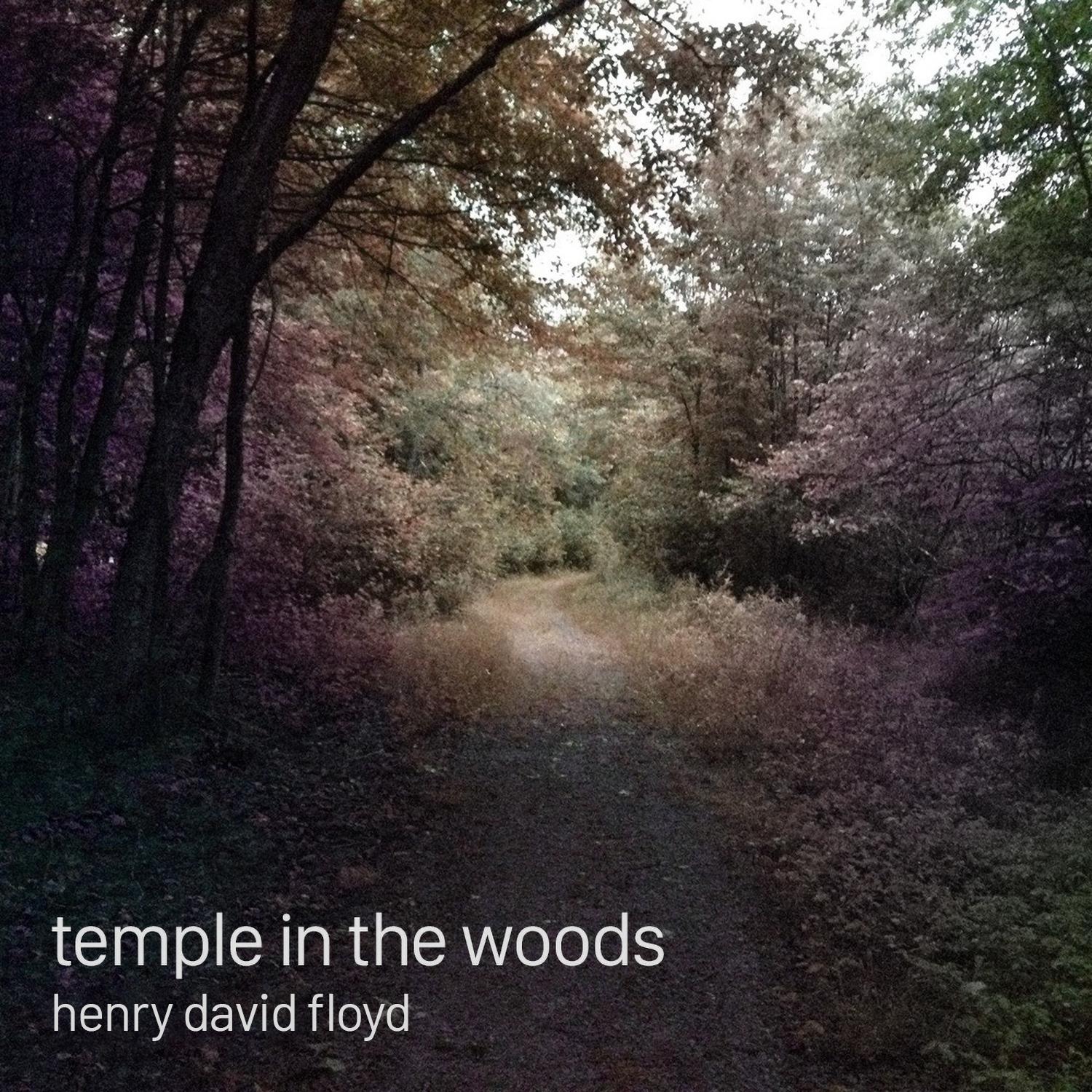 Temple in the Woods - Henry David Floyd - 专辑 - 网易云音乐