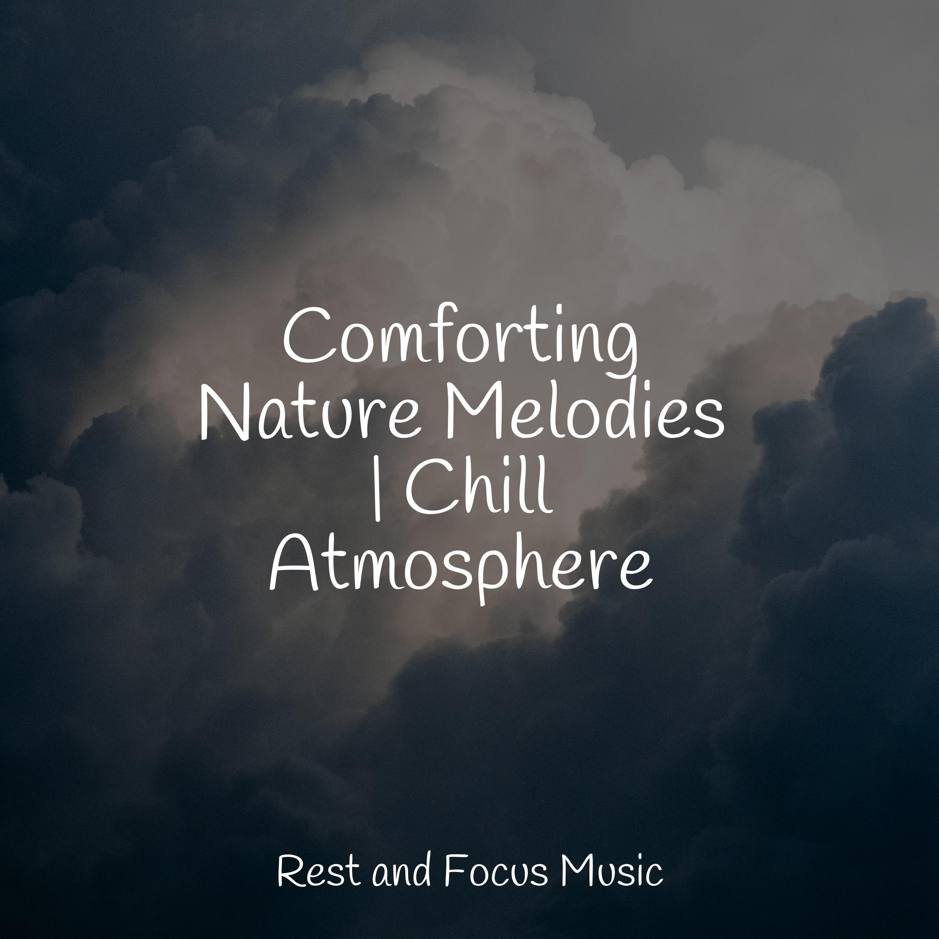 Comforting Nature Melodies | Chill Atmosphere - Academia de Música con ...