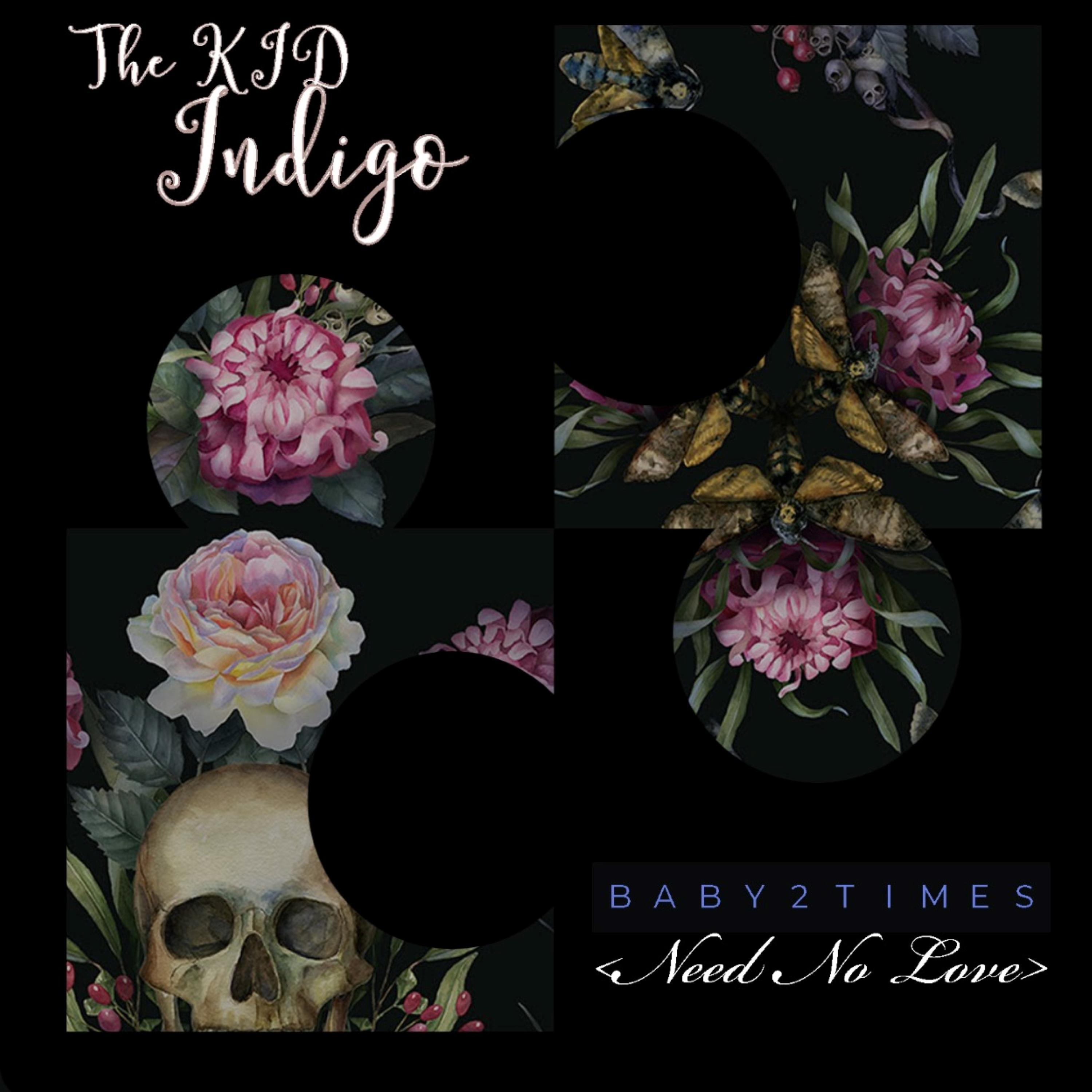 Baby 2 Times... Needs No Love (Dub Mix) - The Kid Indigo - 单曲 - 网易云音乐