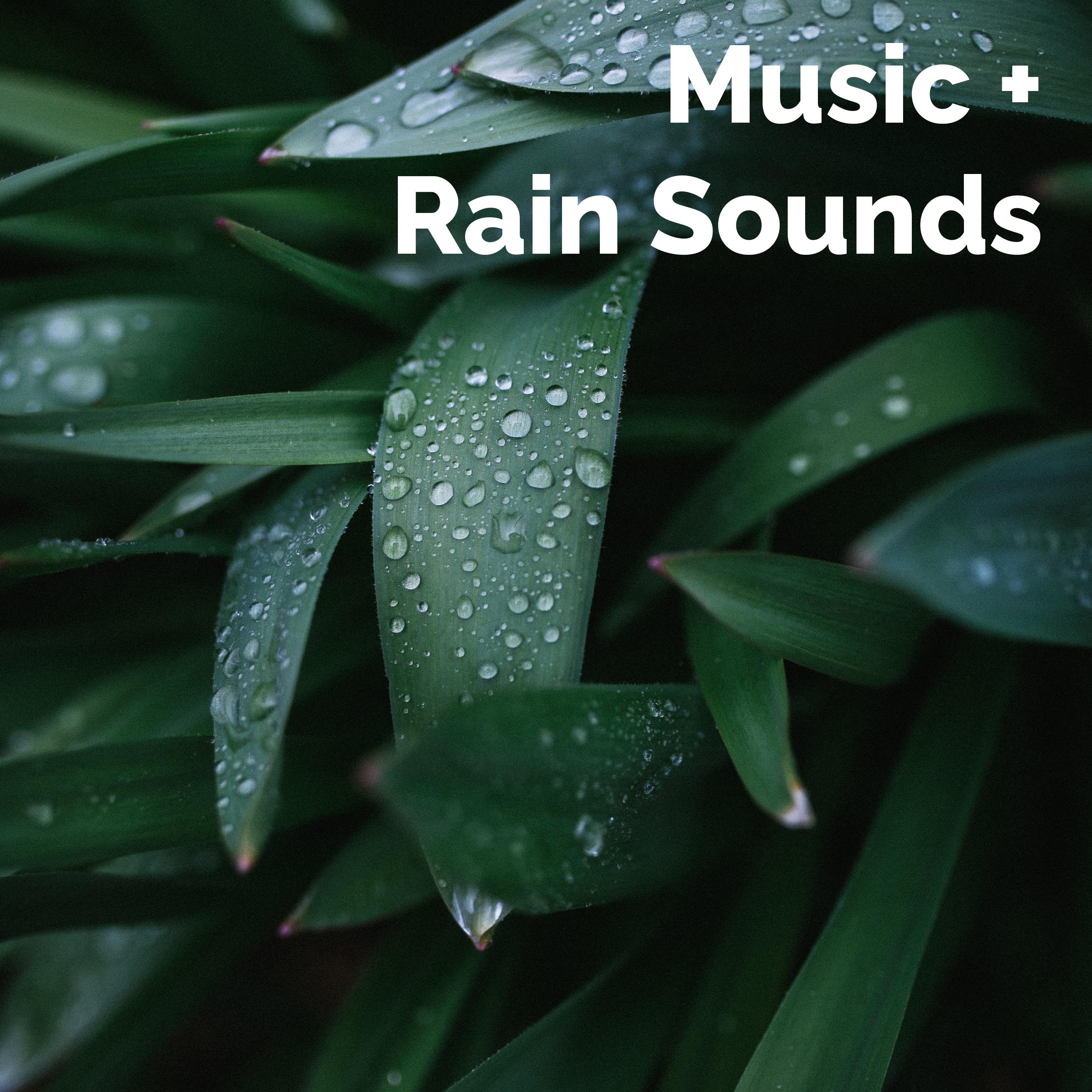 432 Hz Music With Rain Sounds - Raindrop Freddie - 专辑 - 网易云音乐