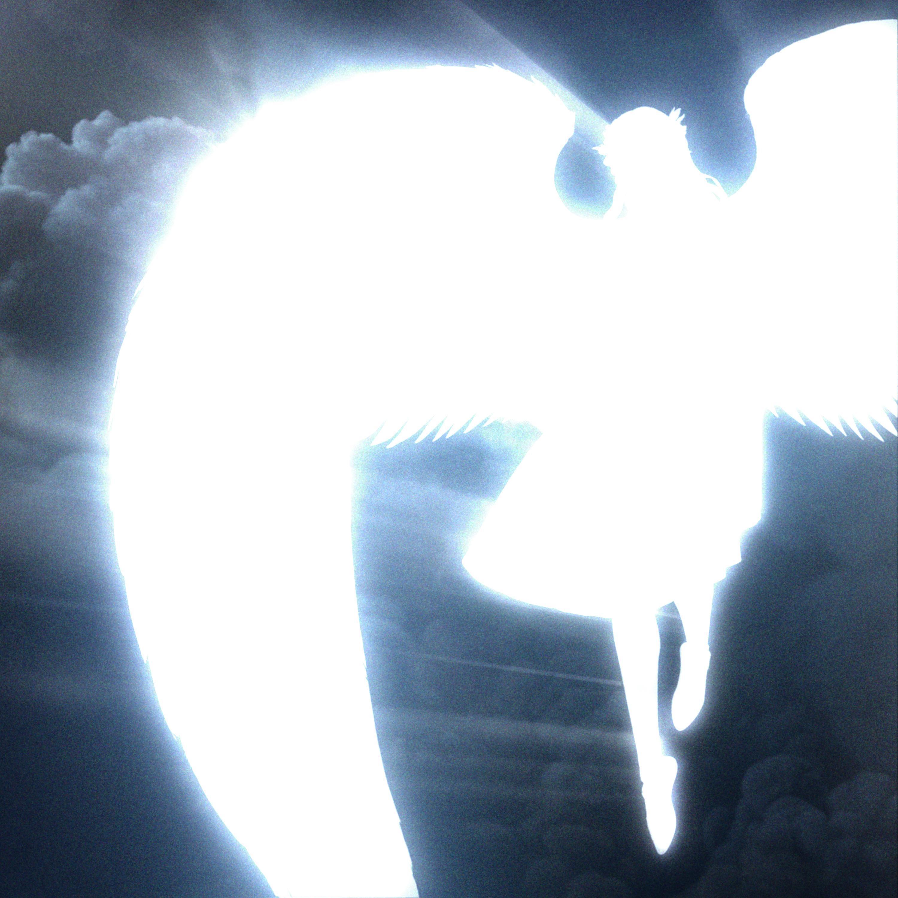 Purple Haze - Sable - 专辑 - 网易云音乐