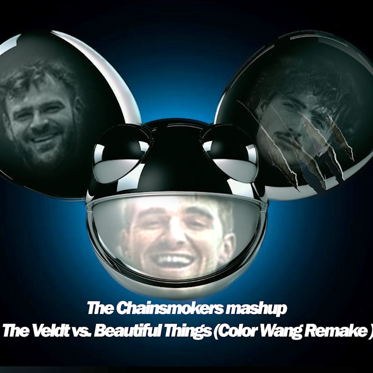 The Chainsmokers -The veldt vs. Beautiful Things (Color Wang Remake ...