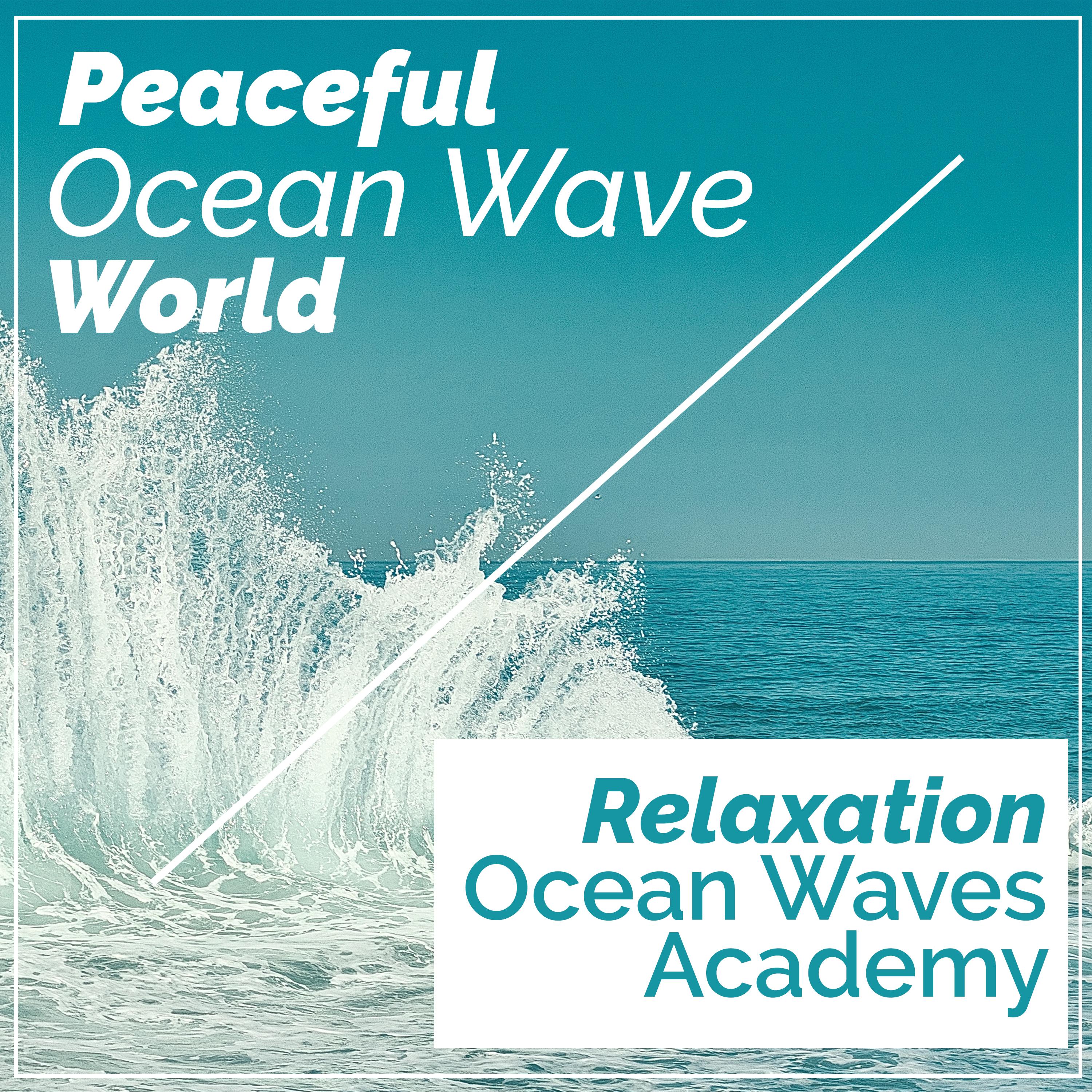 Peaceful Ocean Wave World - Relaxation Ocean Waves Academy - 专辑 - 网易云音乐