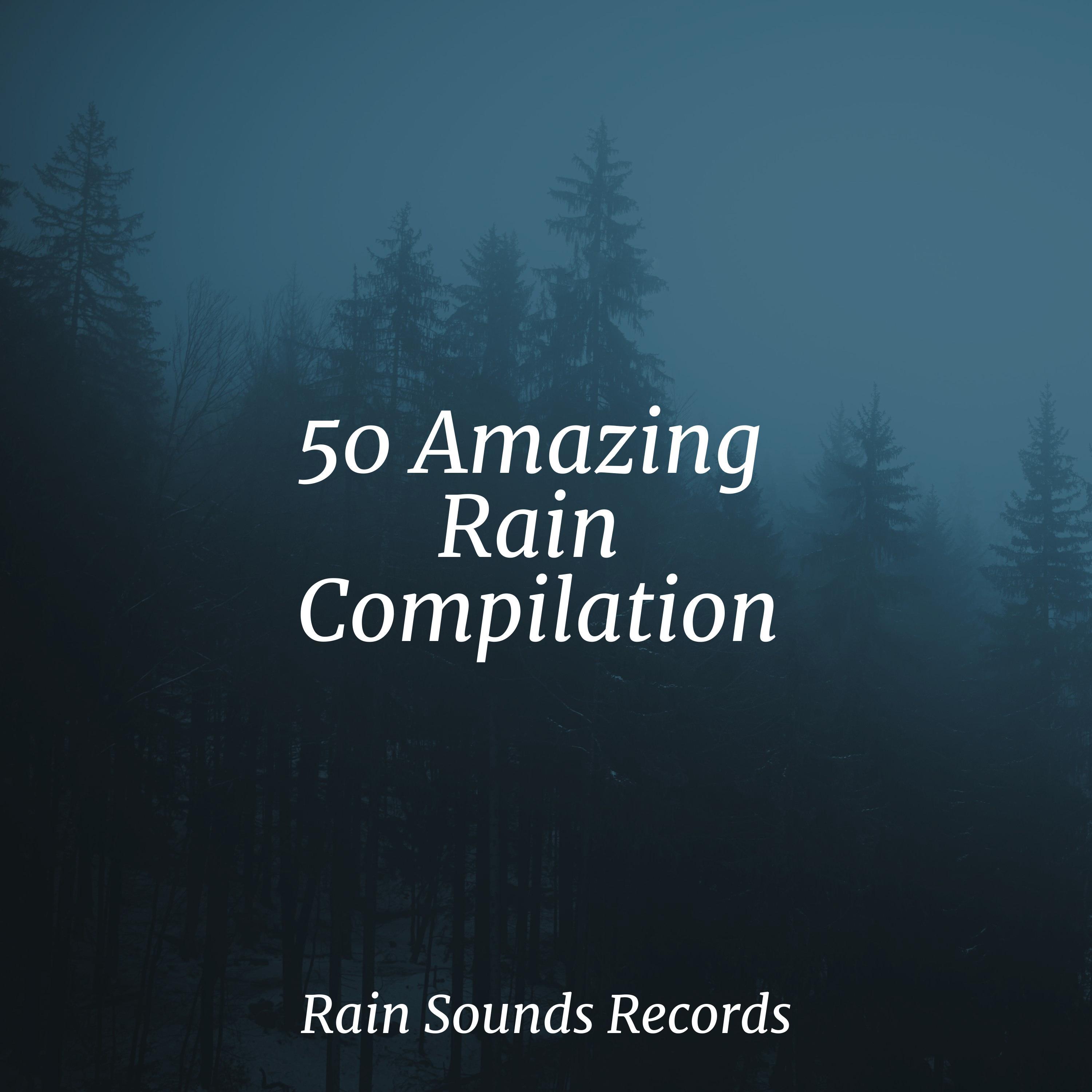 50 Amazing Rain Compilation - Rising Higher Meditation - 专辑 - 网易云音乐