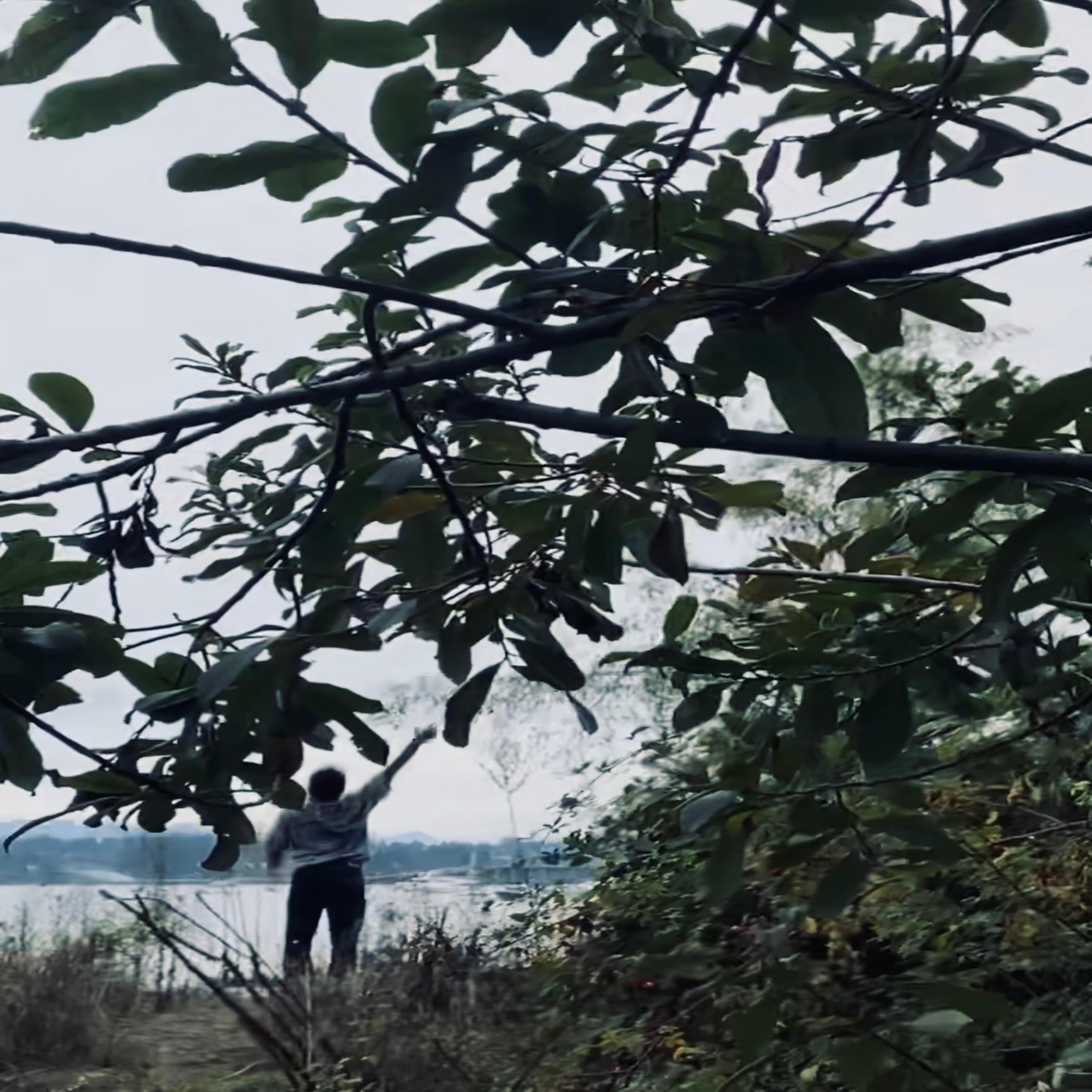 hi my dear - N2U - 专辑 - 网易云音乐