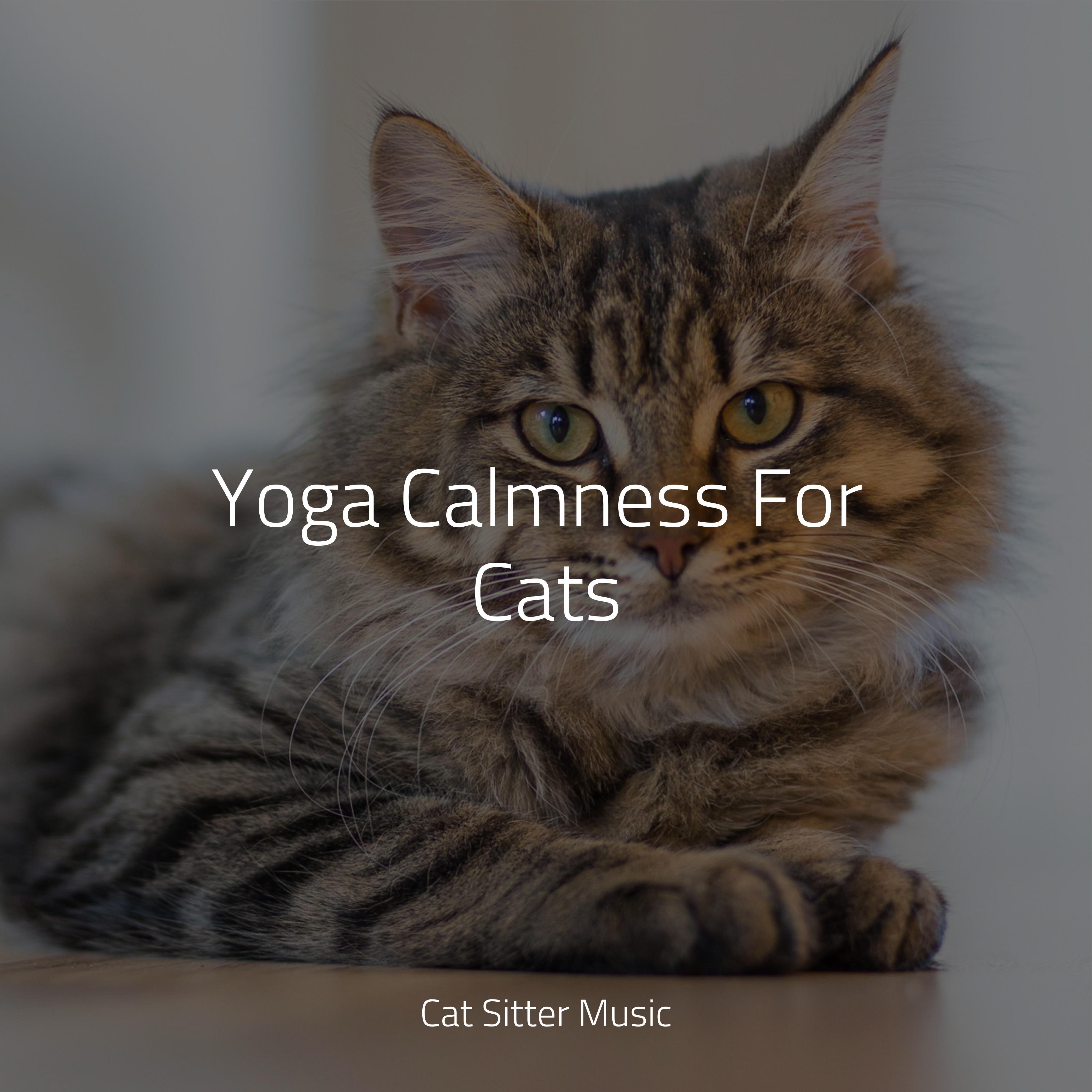 Fading Twilight - Music for Cats TA/Cats Music Zone/Music For Cats - 单曲 ...