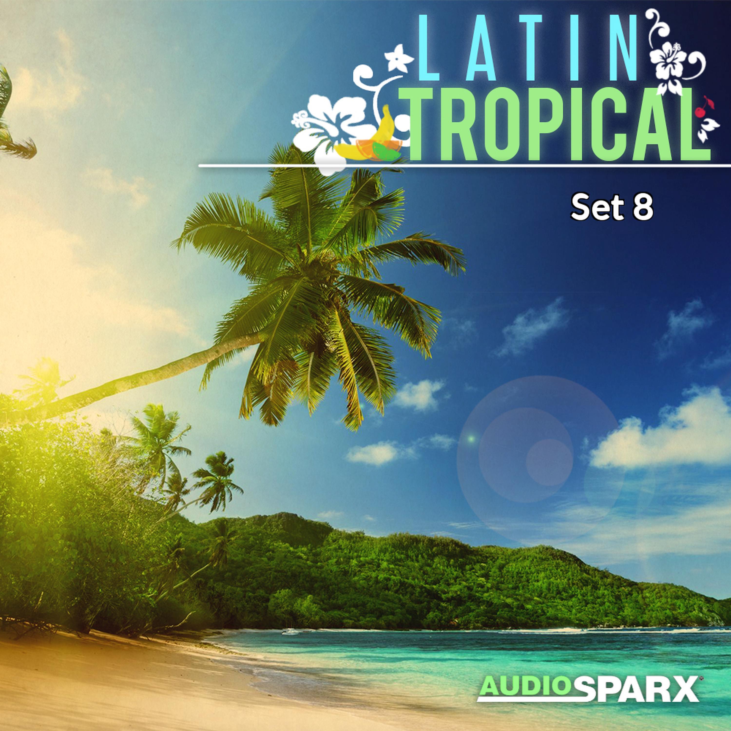 Latin Tropical, Set 8 - Various Artists - 专辑 - 网易云音乐
